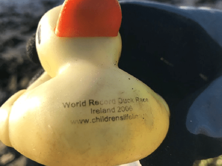 O Menor Pato Do Mundo Tio Patinhas E Pato Donald: O Pato Mais Rico Do