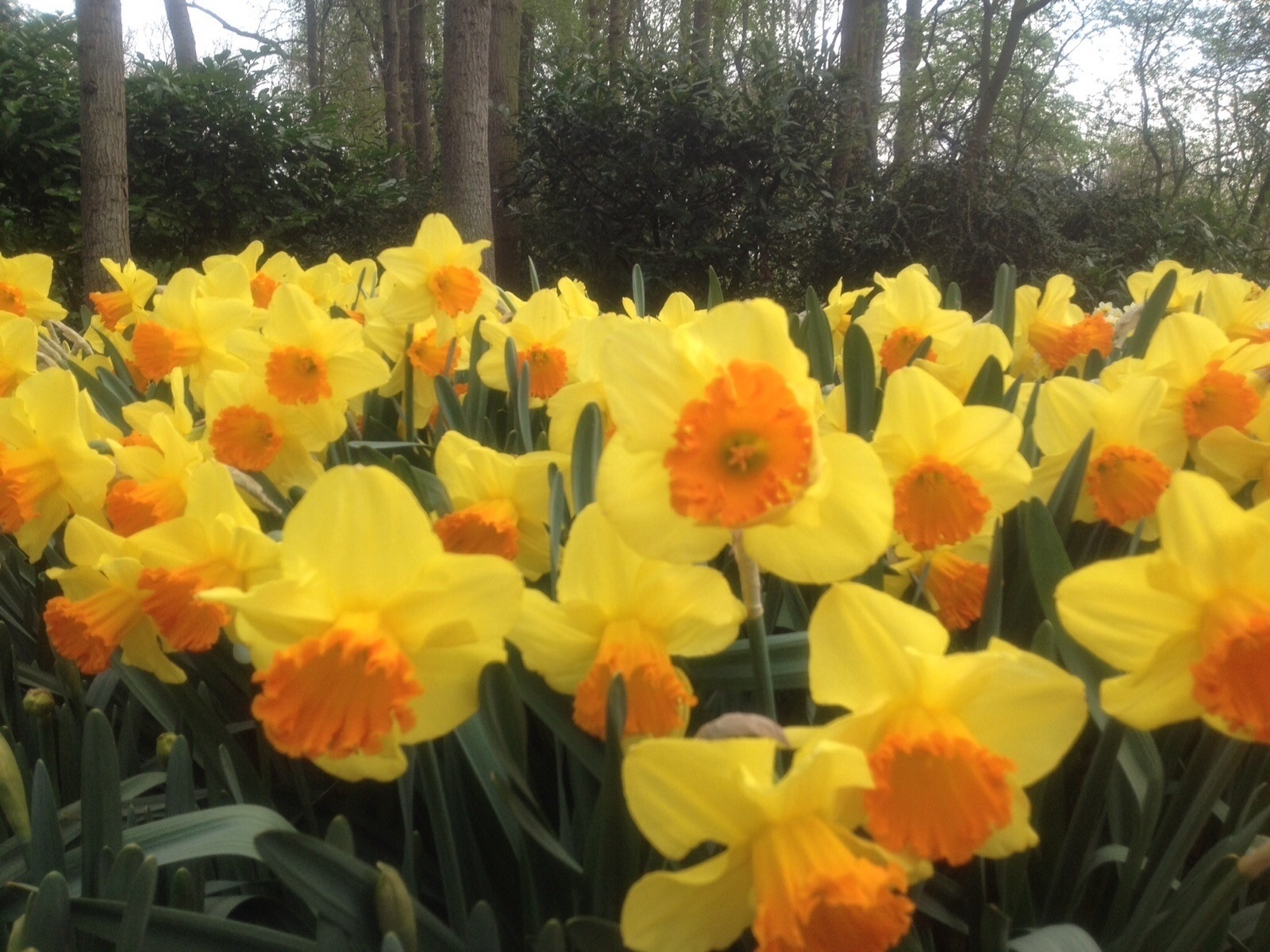 Fotos: Primavera no Brasil - 21/09/2015 - UOL Notícias