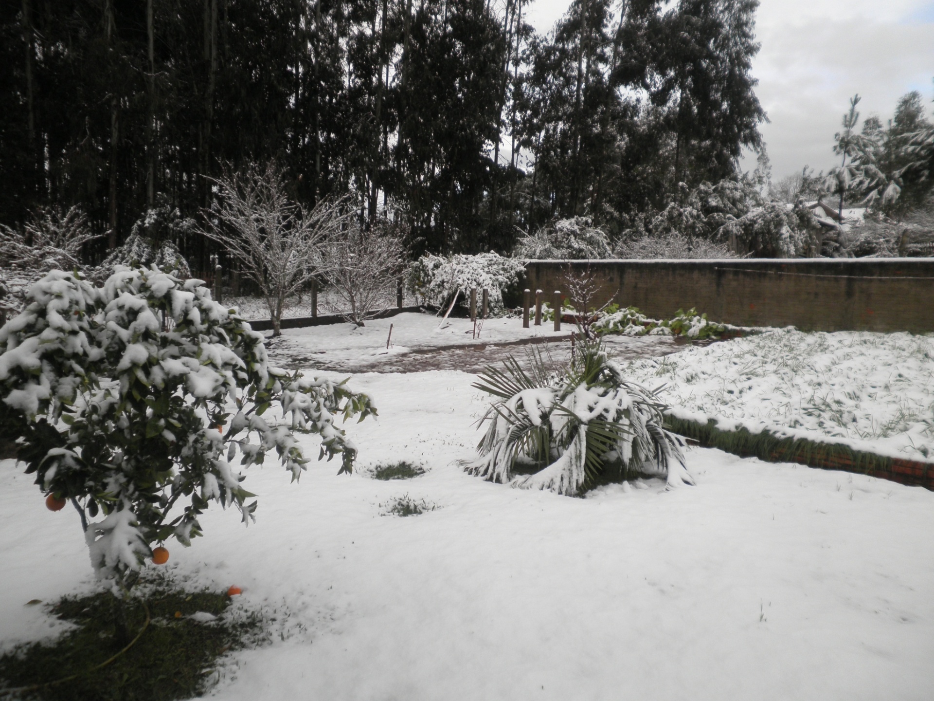 Você Manda: envie fotos do frio e neve na sua cidade - 23/07/2013 - UOL ...