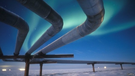 No interior do Alasca, turistam desafiam a sorte para ver ursos de ...