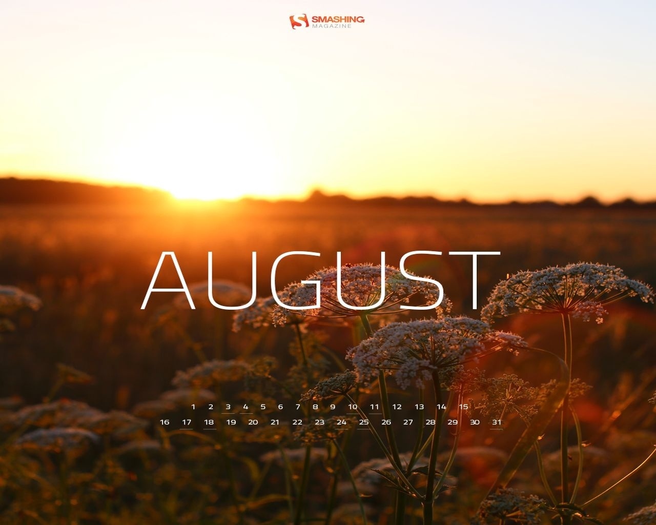 Fotos: Baixe papéis de parede grátis com o calendário de agosto - 31/07 ...