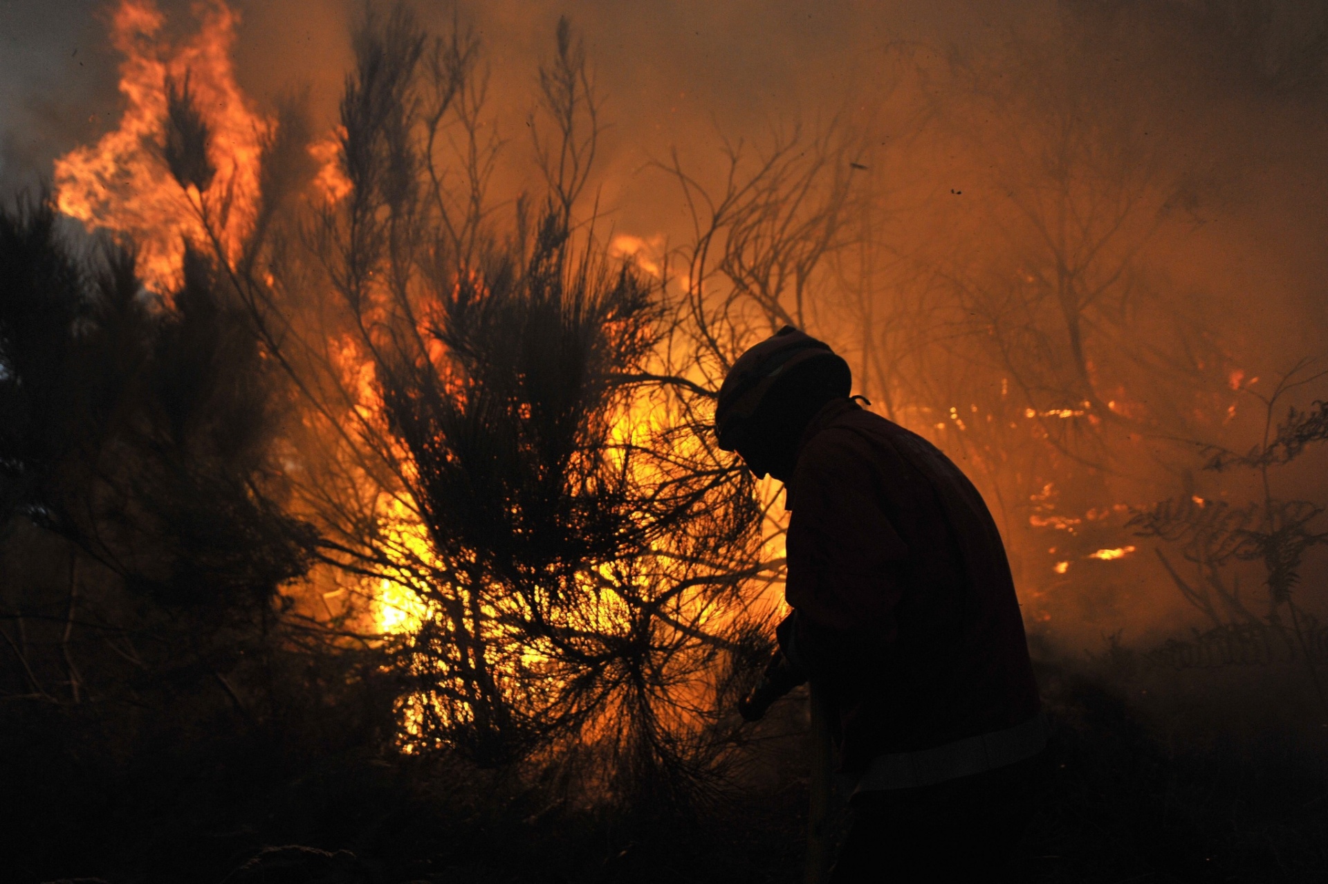Fotos: Incêndios florestais se espalham por Portugal - 21/08/2013 - UOL ...