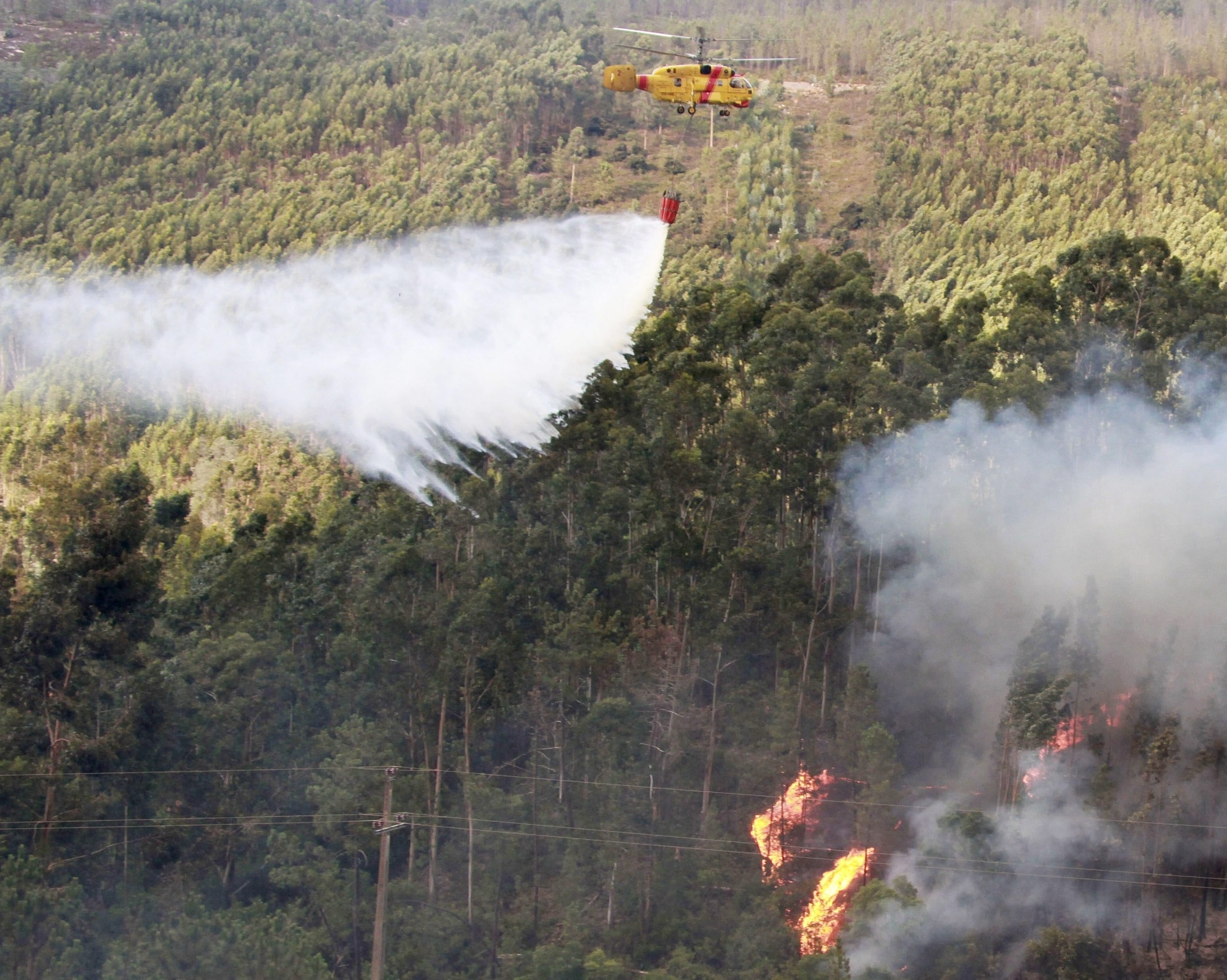 Fotos: Incêndios florestais se espalham por Portugal - 21/08/2013 - UOL ...