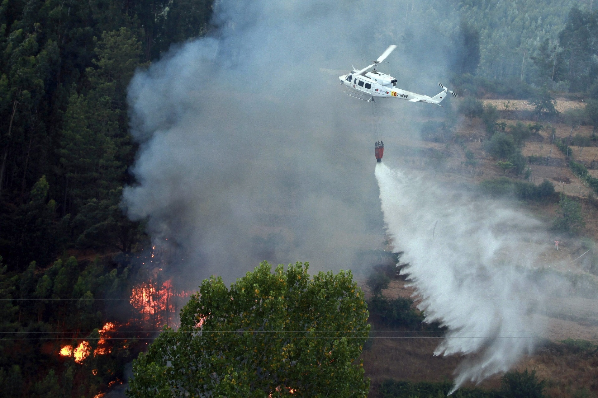 Fotos: Incêndios florestais se espalham por Portugal - 21/08/2013 - UOL ...