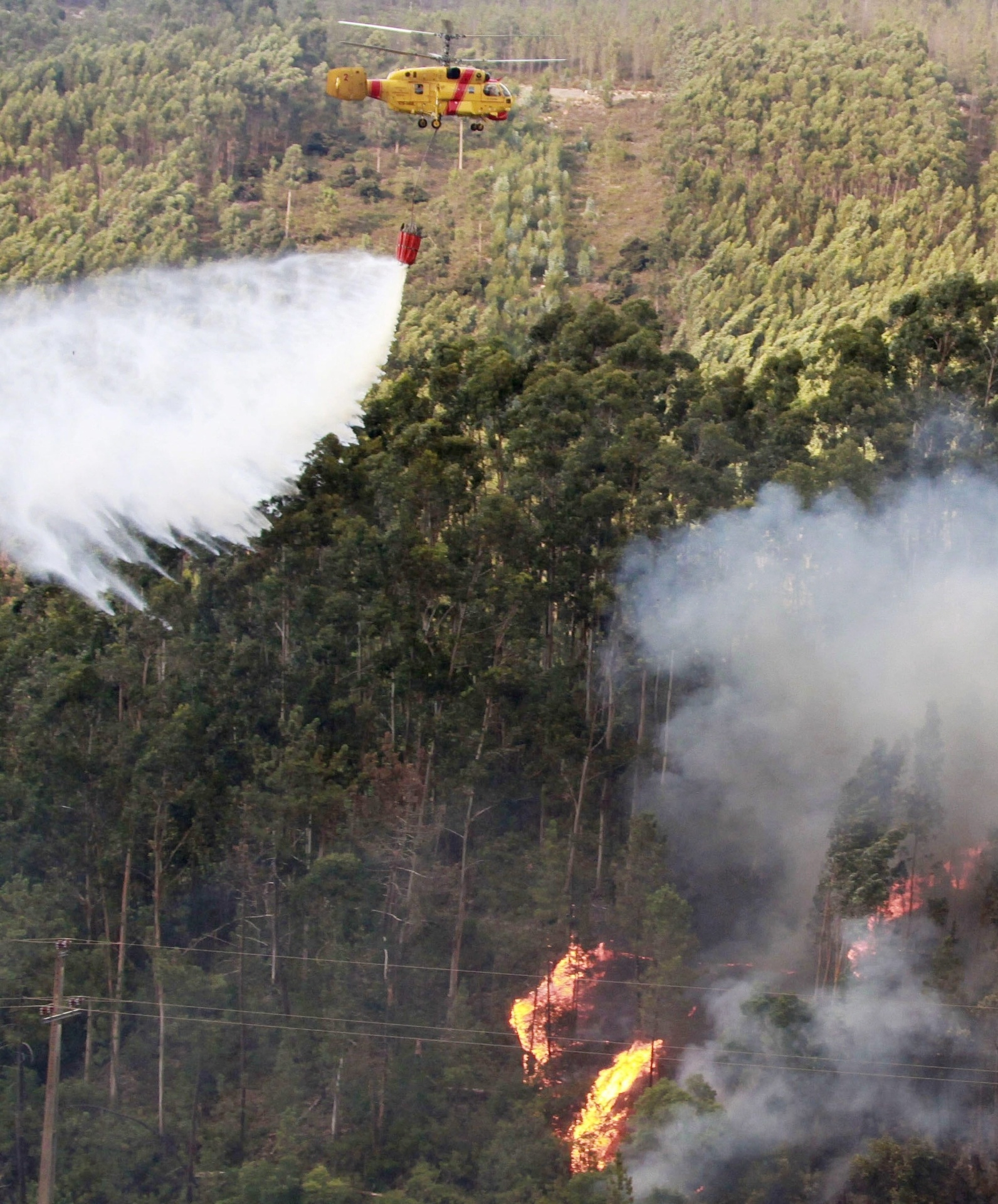 Incêndios florestais podem crescer 200% até 2090, diz estudo - 10/09 ...