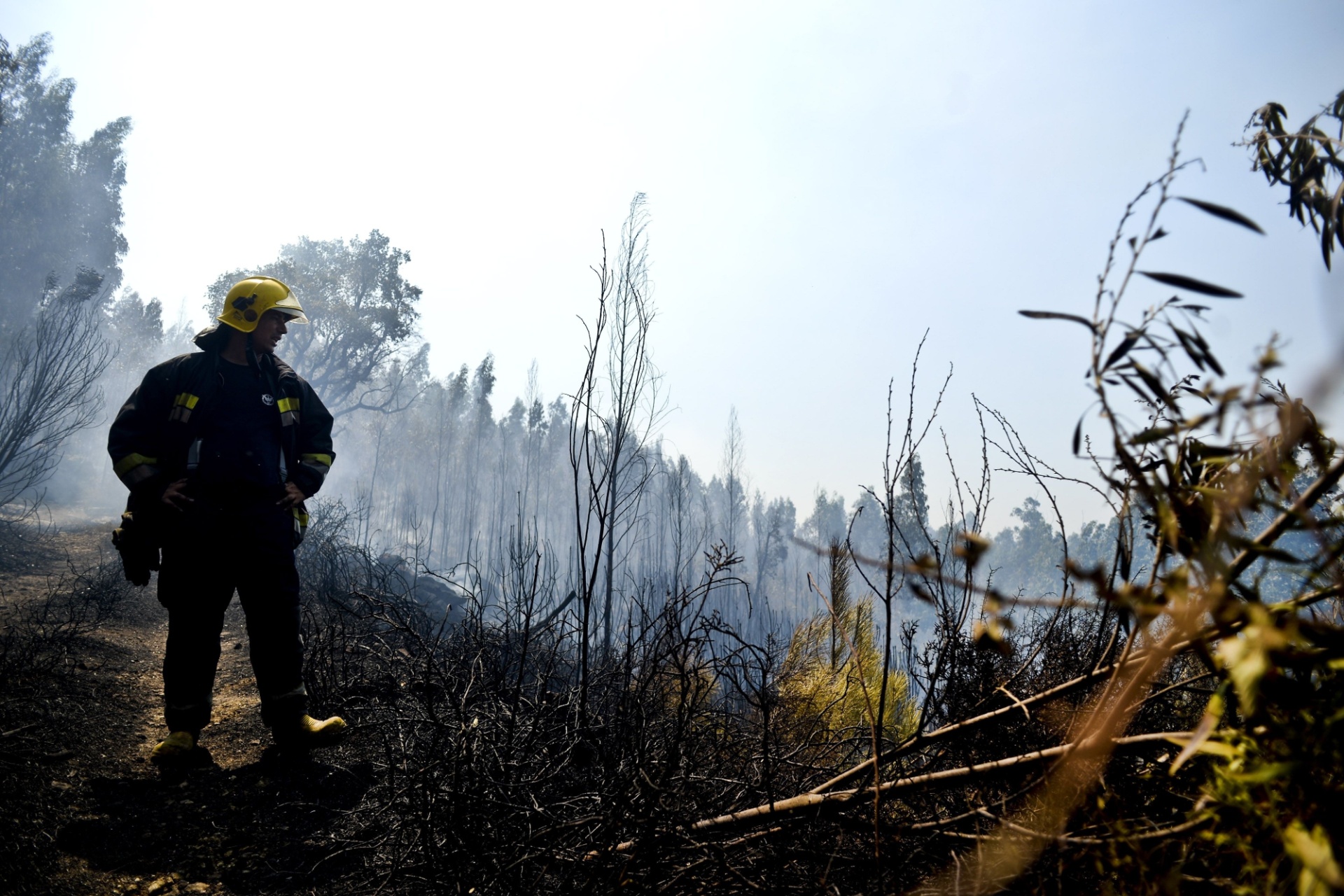 Fotos: Incêndios florestais se espalham por Portugal - 21/08/2013 - UOL ...