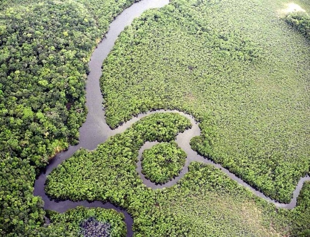 Amazônia brasileira: Biodiversidade e clima da floresta amazônica ...