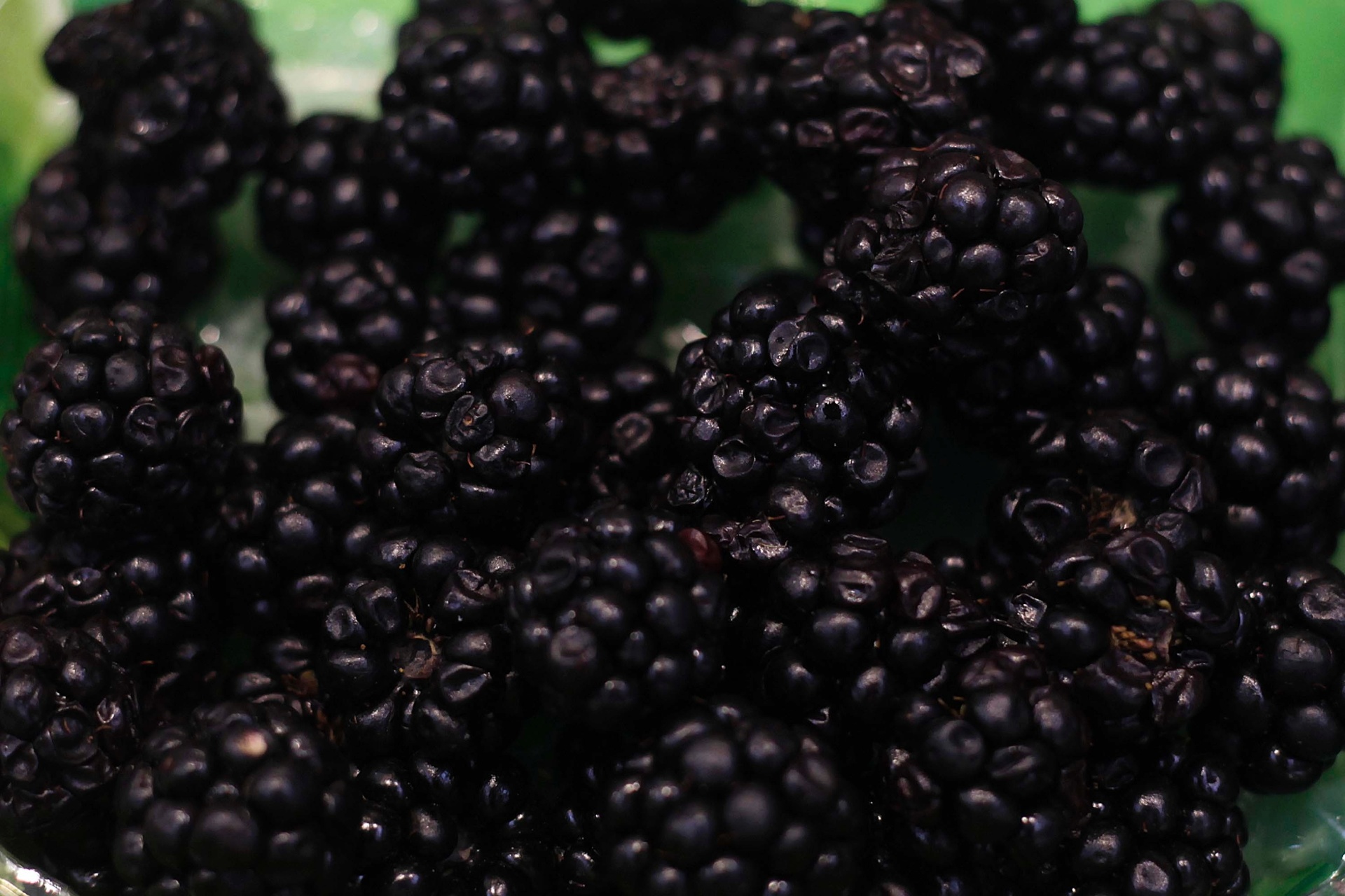 Fruta azeda da mata atlântica, cambuci ressurge em cachaça e comidas ...