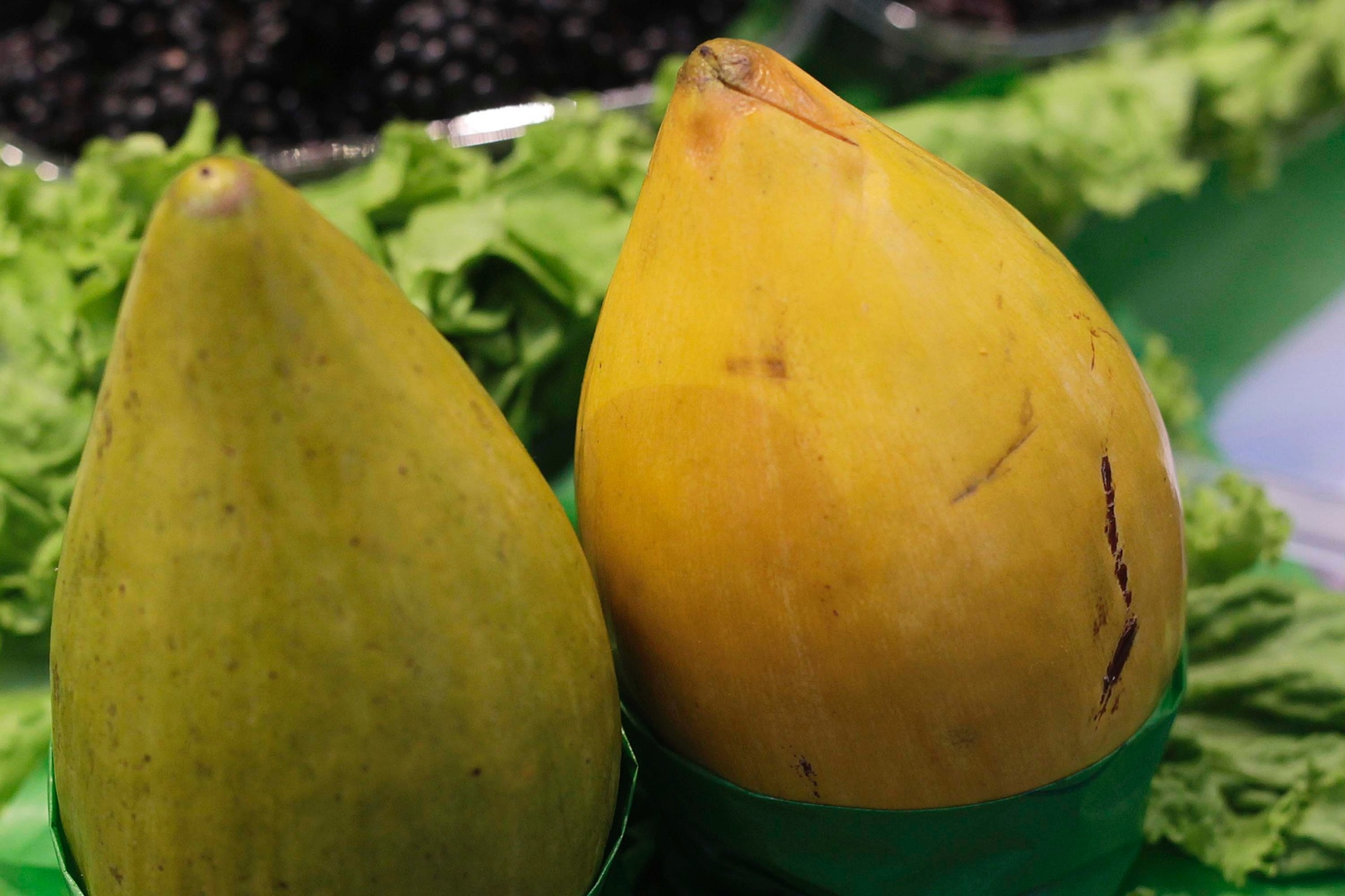 Fruta azeda da mata atlântica, cambuci ressurge em cachaça e comidas ...