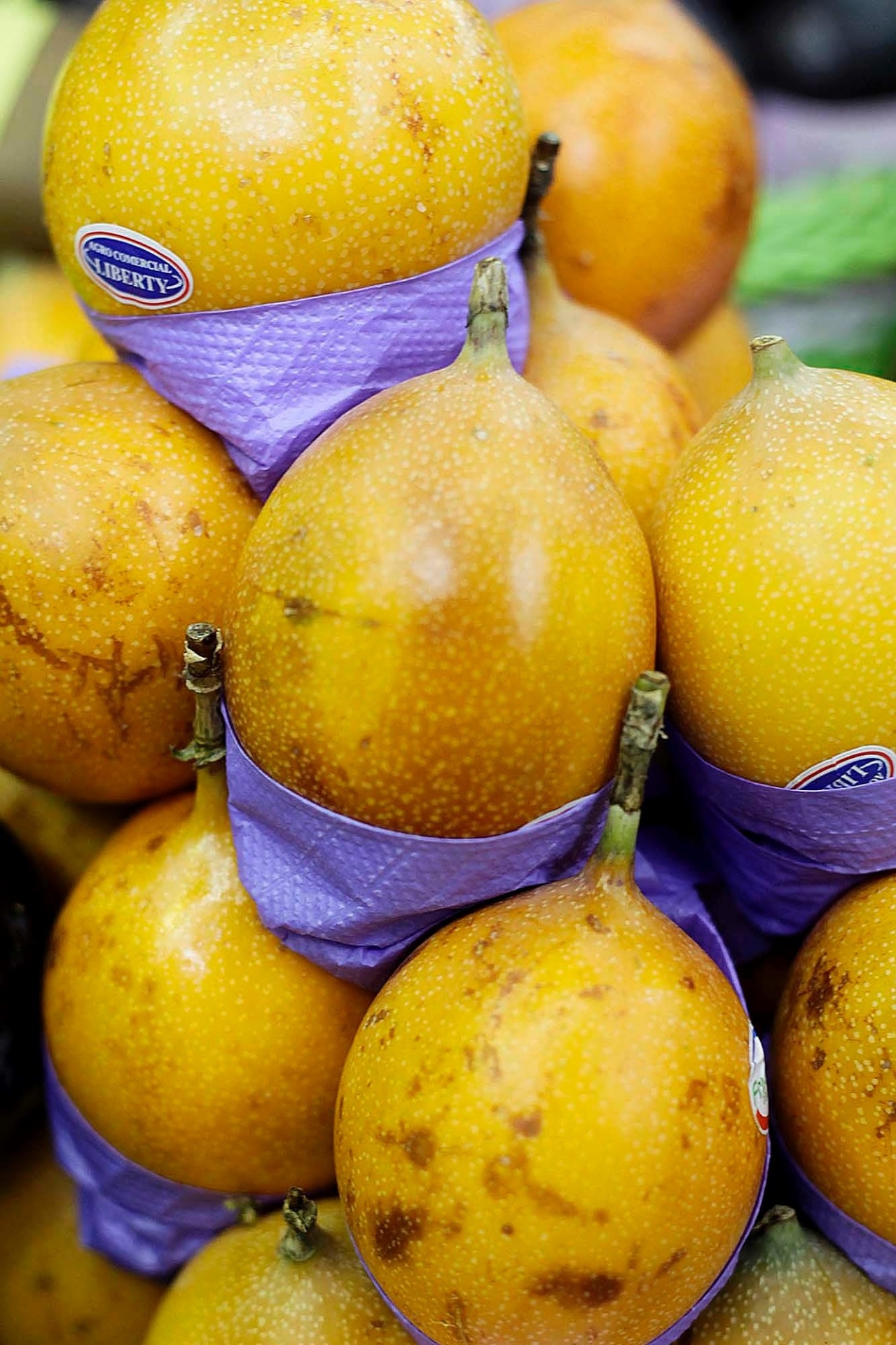 Fruta do cerrado se transforma em ravióli, farofa e pão em bistrô do ...