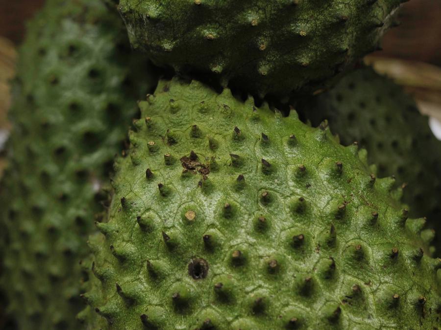 Reduz glicose significativamente: os benefícios da graviola à saúde