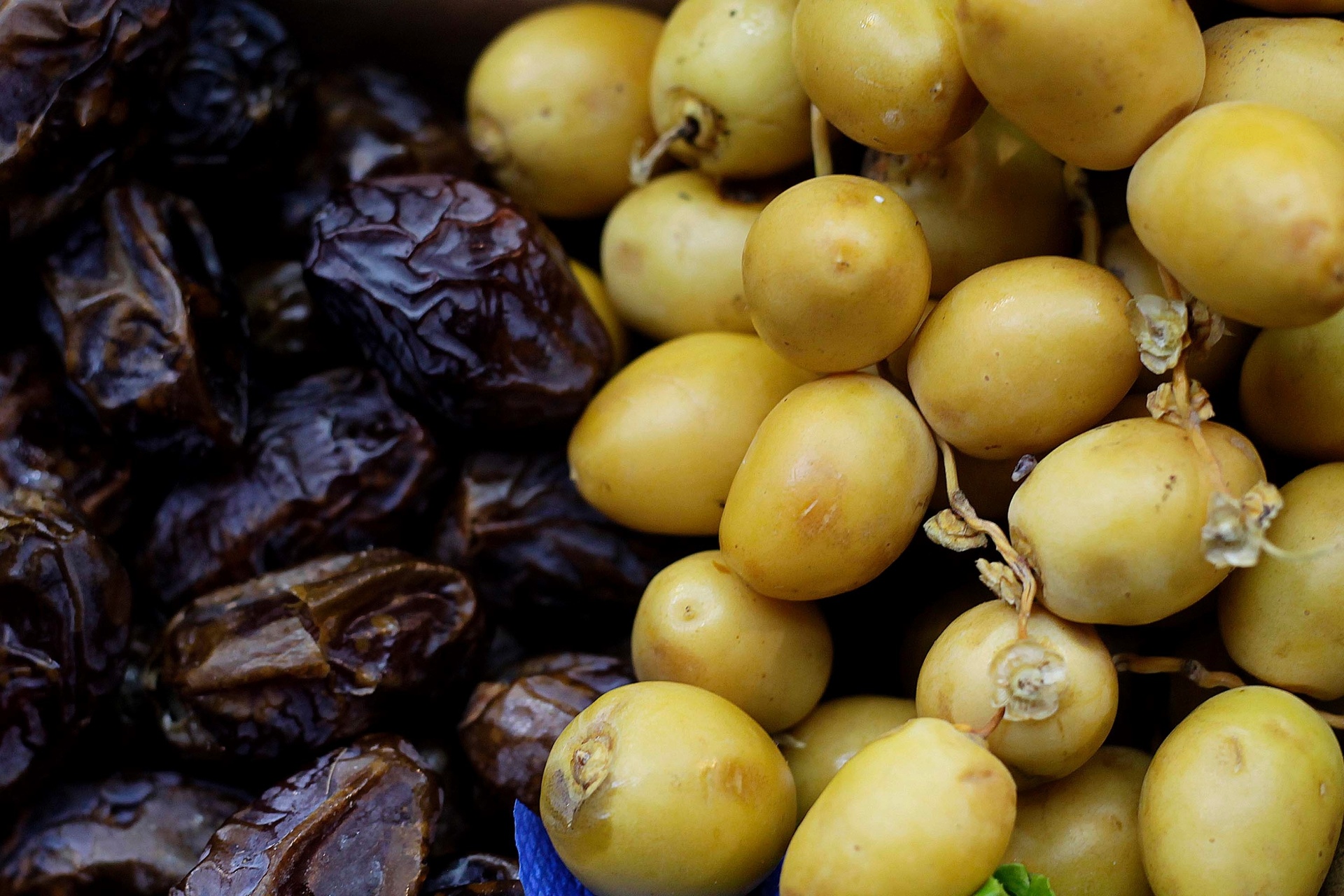 Fruta do cerrado se transforma em ravióli, farofa e pão em bistrô do ...