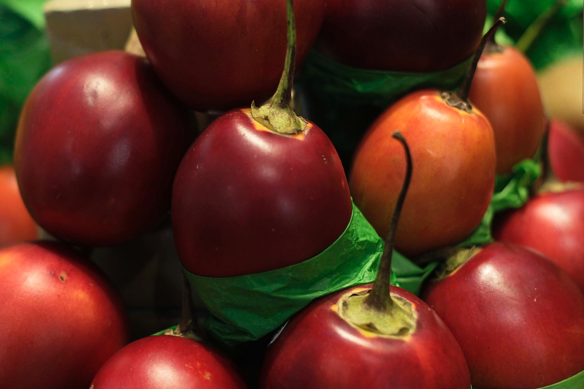 Fruta do cerrado se transforma em ravióli, farofa e pão em bistrô do ...