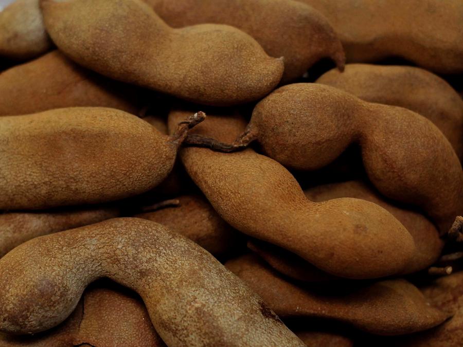 Prolonga sensação de saciedade, controla açúcar: os benefícios do tamarindo