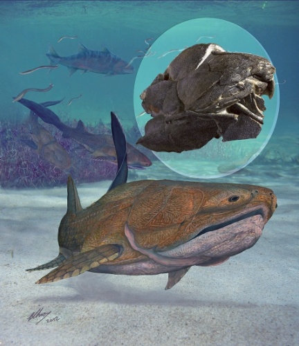 Fósseis revelam como eram os animais pré-históricos - Fotos - Ciência