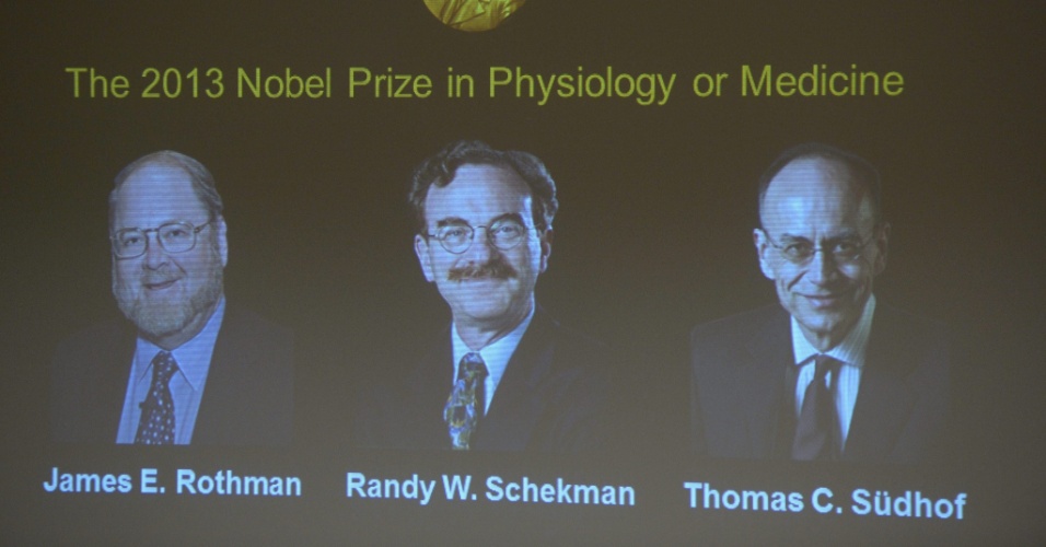 Imagens do dia - 7 de outubro de 2013 - Fotos - UOL Notícias