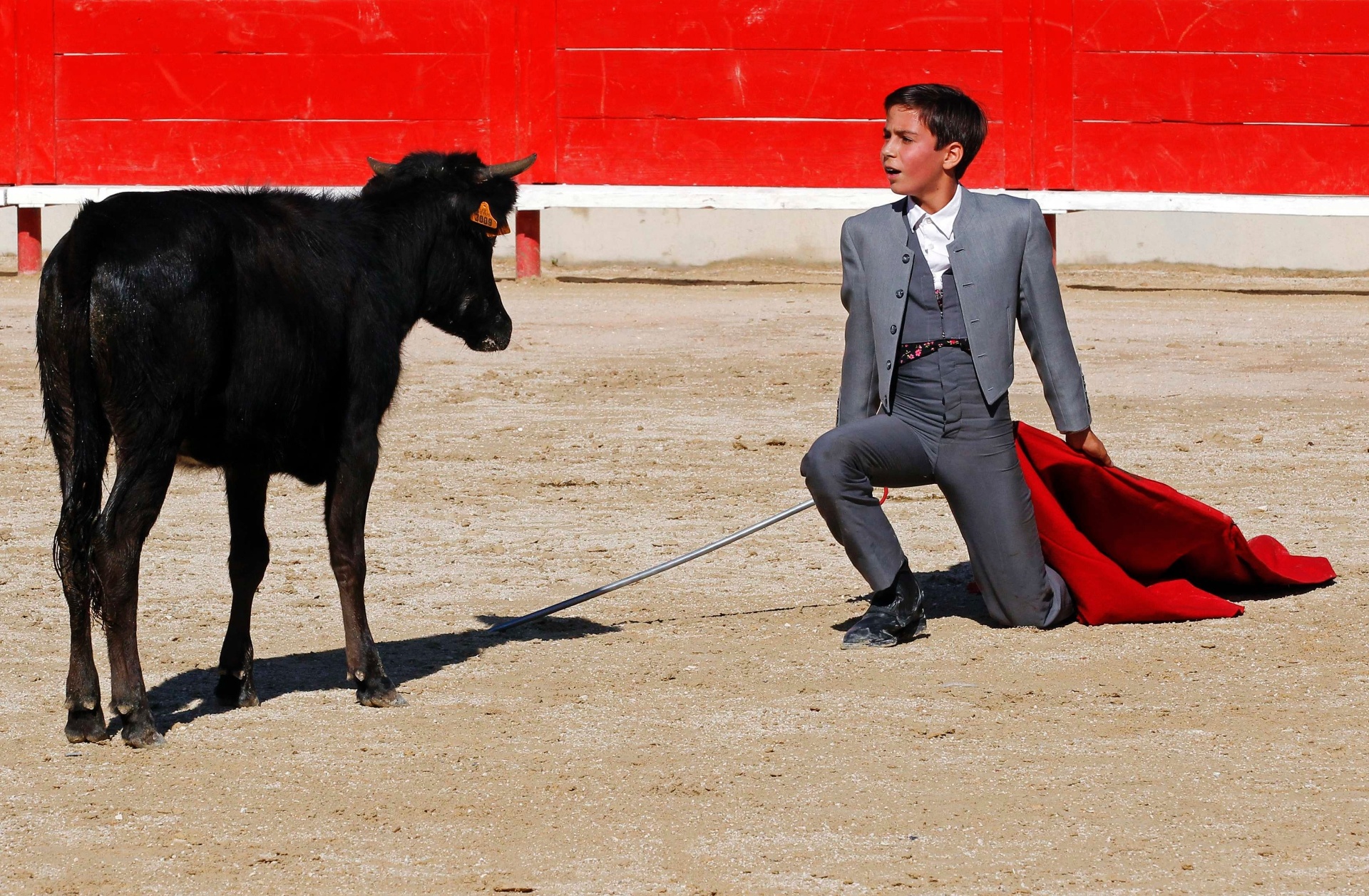 Fotos: Escola forma aprendizes de toureiro na França - 04/11/2013 - UOL ...