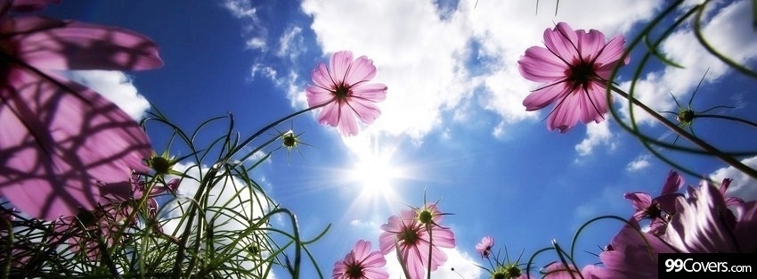 Capas de flores para Facebook deixam seu perfil colorido; baixe - BOL ...