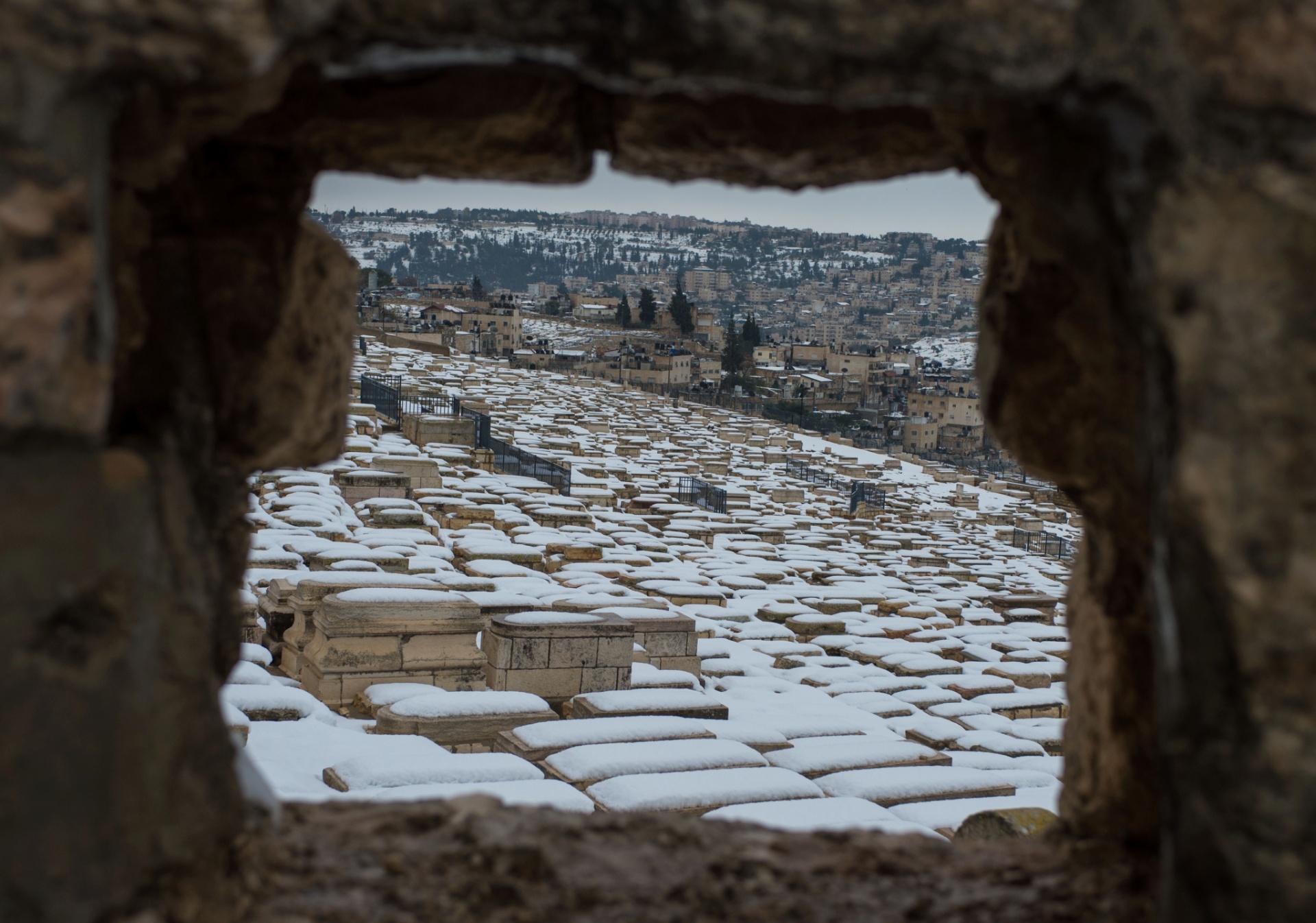 Fotos: Neve e frio no hemisfério Norte - 26/11/2013 - UOL Notícias