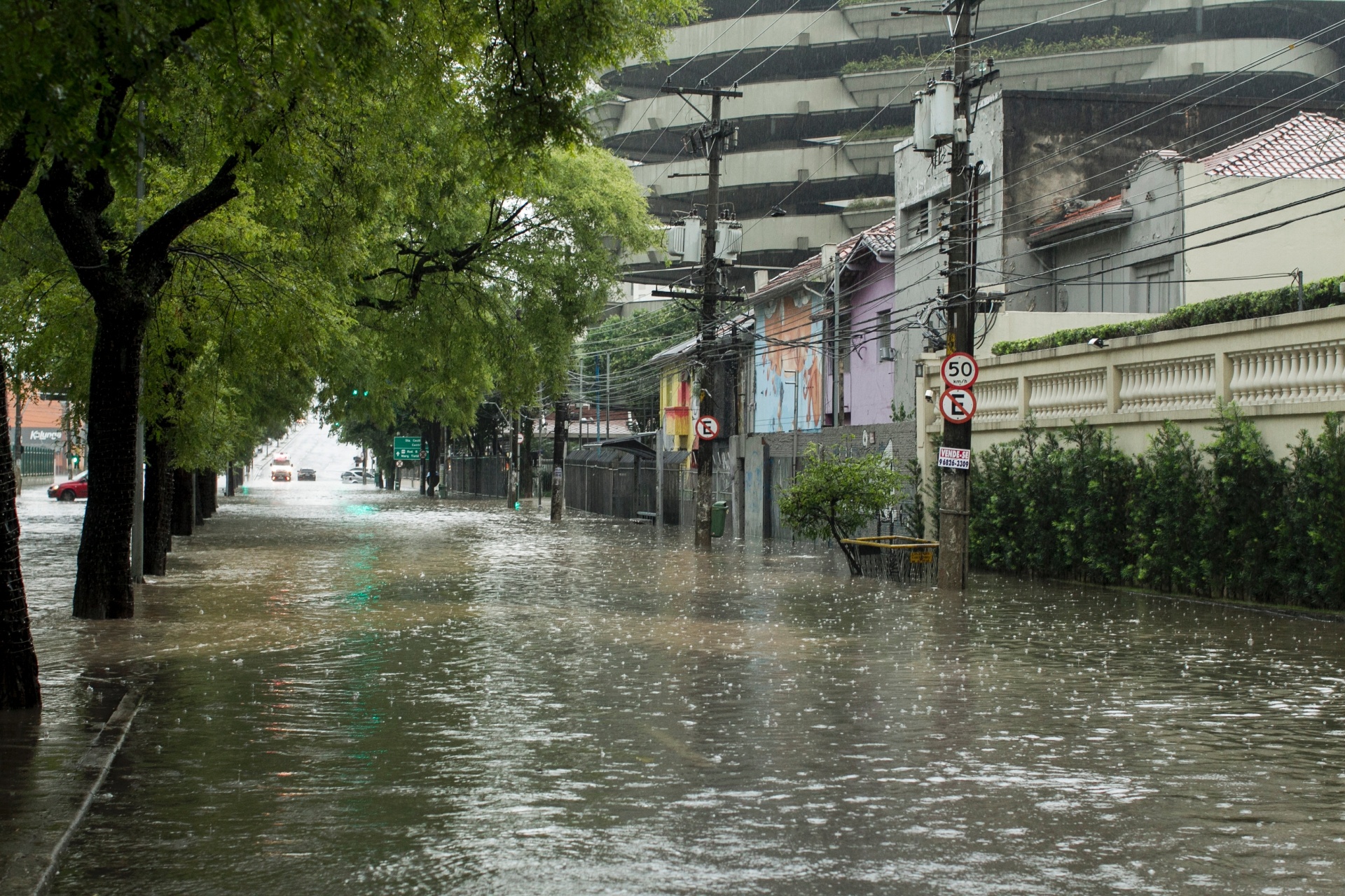 Após chuva, SP tem semáforos quebrados, árvores caídas e dois pontos de ...