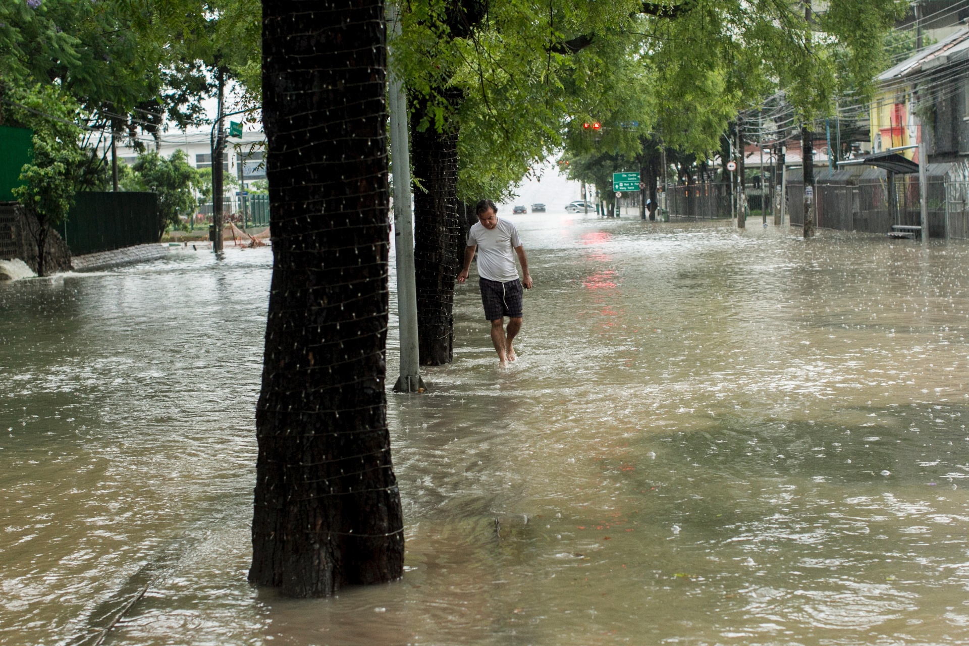 Após chuva, SP tem semáforos quebrados, árvores caídas e dois pontos de ...