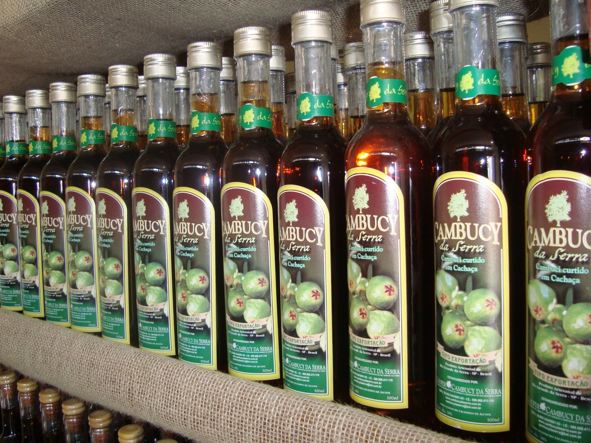 Fotos: Cambuci é usado na cachaça, em molhos, sorvetes e sucos; conheça ...