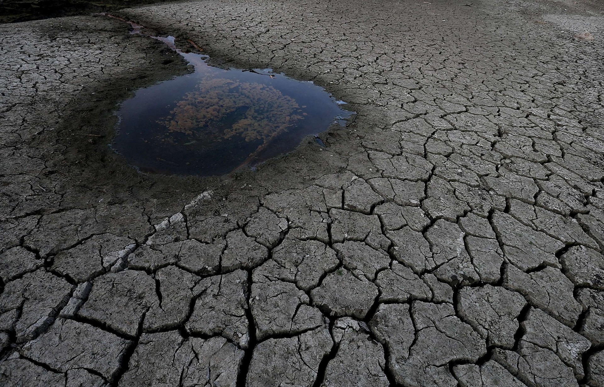 Fotos: Califórnia enfrenta a pior seca em um século - 28/01/2014 - UOL ...