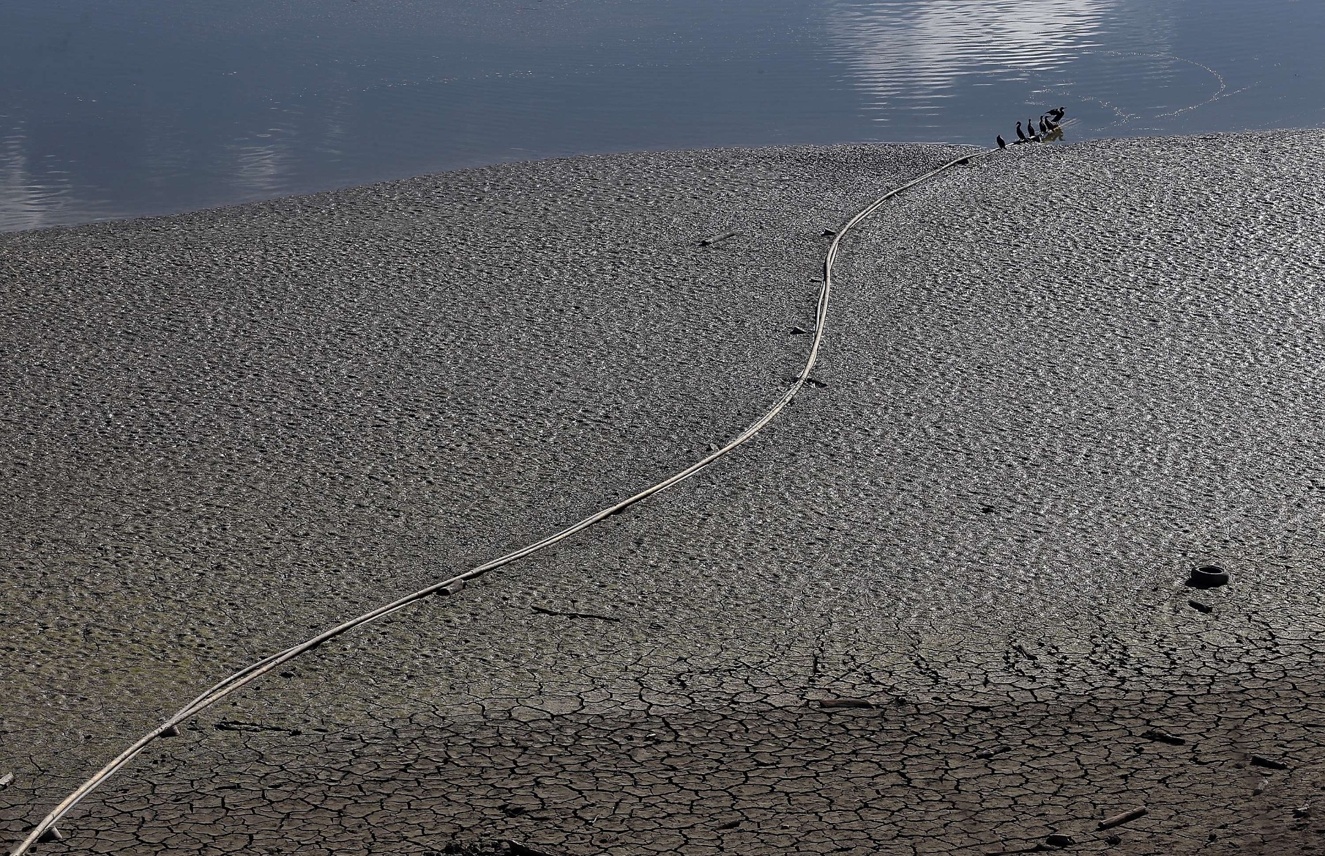 Fotos: Califórnia enfrenta a pior seca em um século - 28/01/2014 - UOL ...
