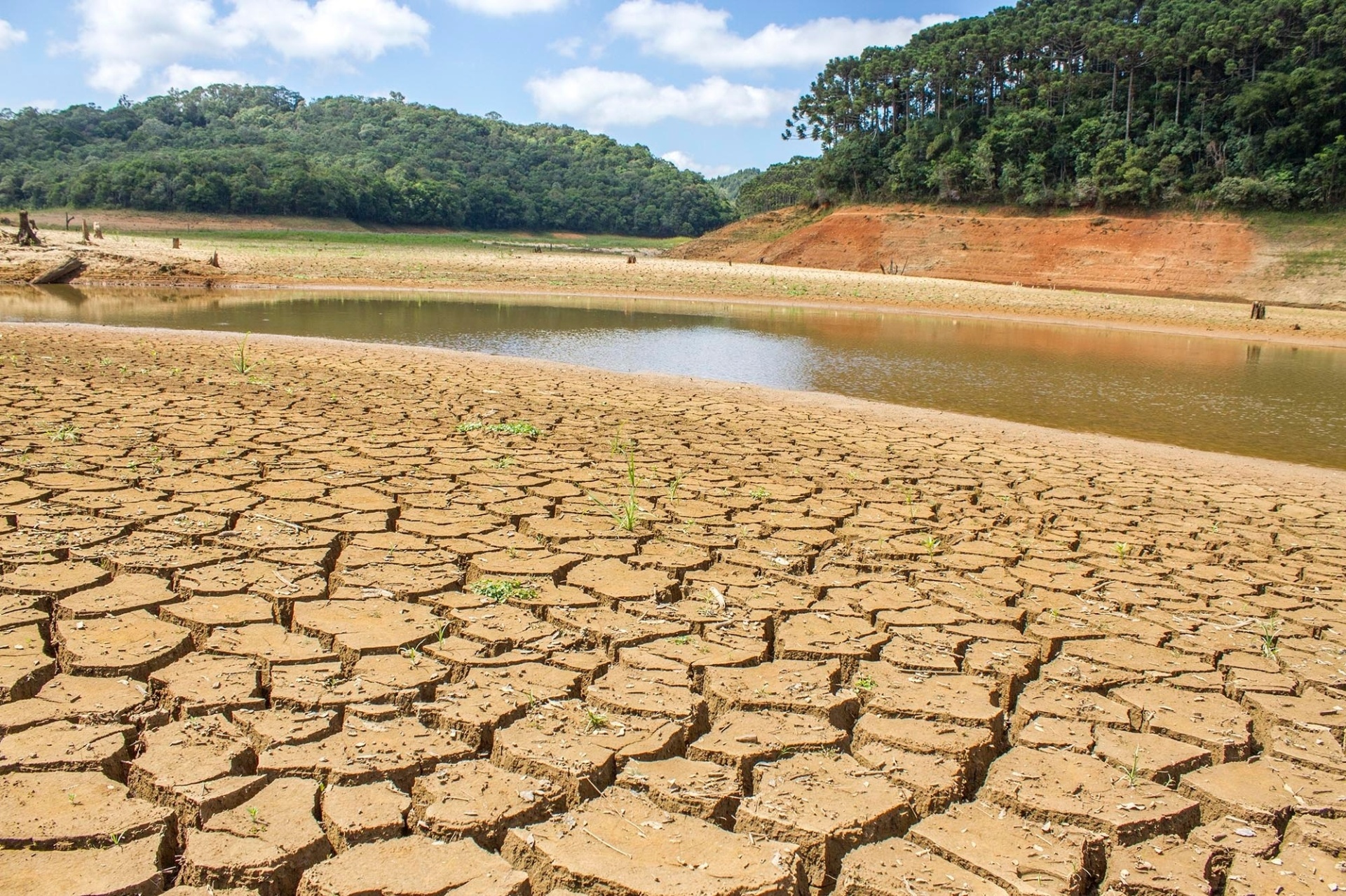 Fotos: Imagens do dia - 11 de fevereiro de 2014 - 11/02/2014 - UOL Notícias