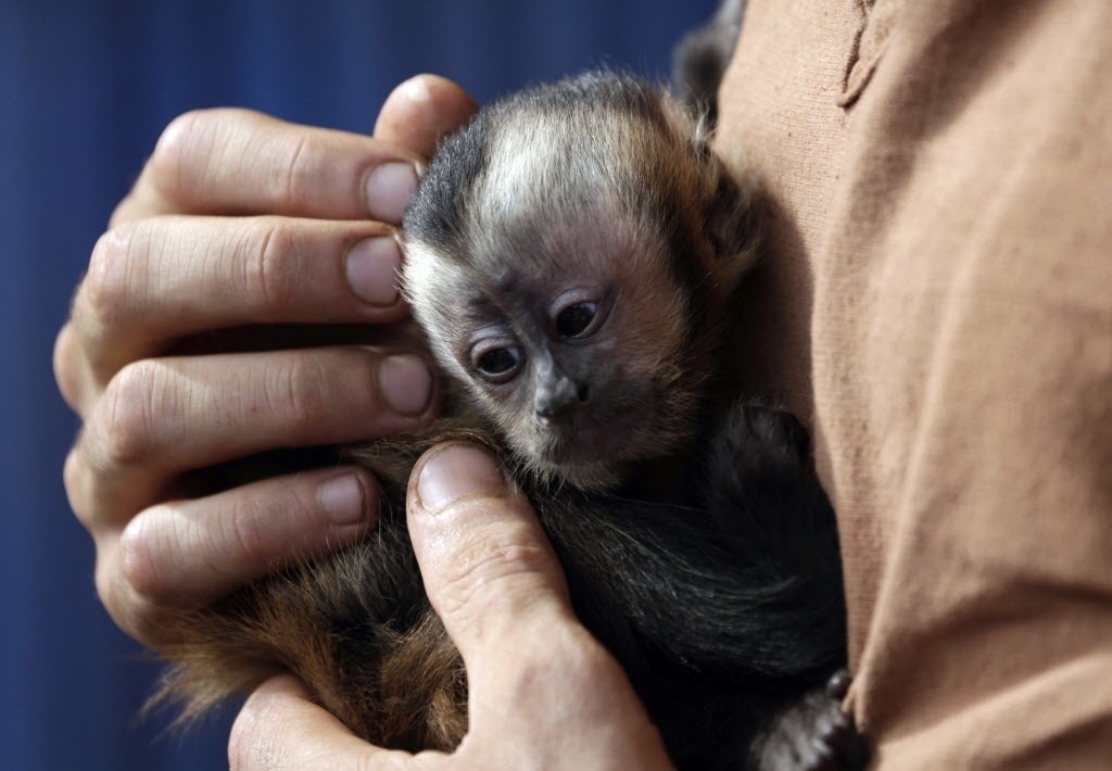 Fotos: Imagens do dia - 14 de fevereiro de 2014 - 14/02/2014 - UOL Notícias