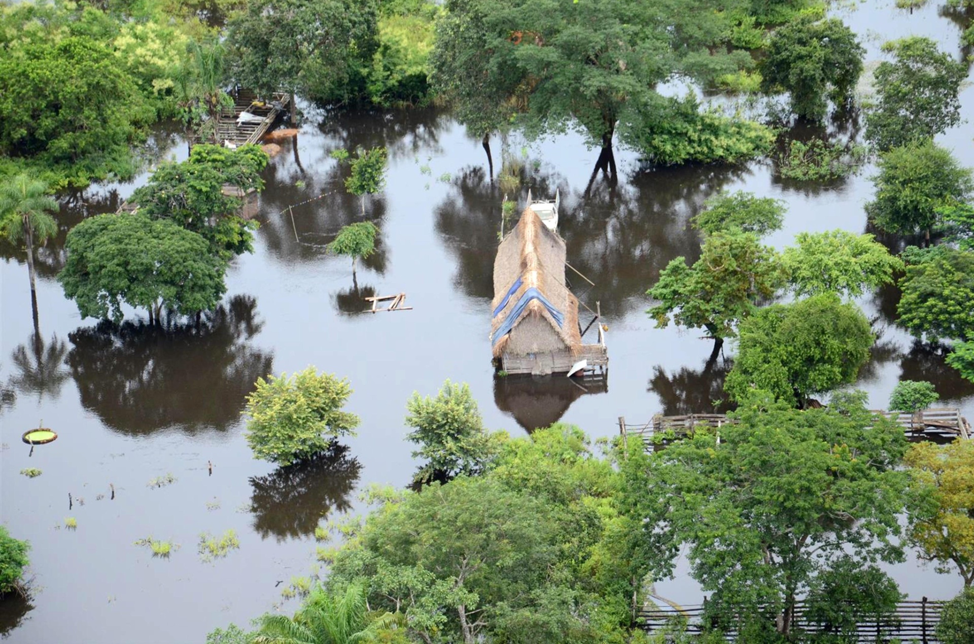 Fotos: Enchentes na Bolívia afetam mais de 58 mil famílias - 18/02/2014 ...