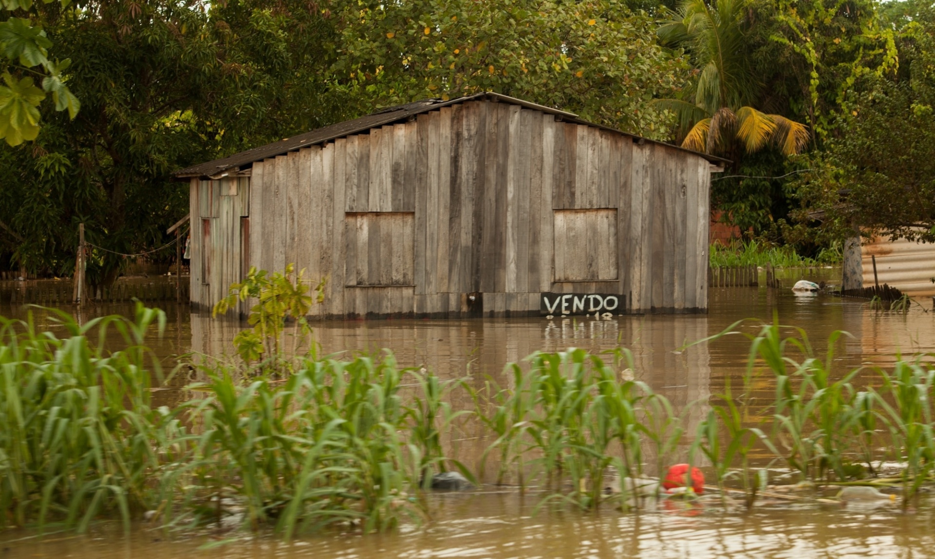 Mais de 82 mil estão desabrigados com cheias dos rios Madeira e Acre ...