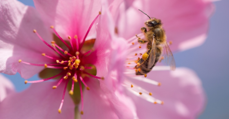 Olho Mágico - Fotos - UOL Notícias