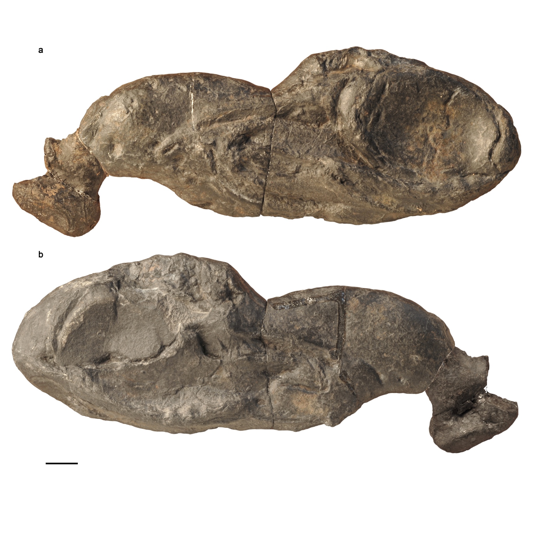 Fotos: Veja imagens de Ciência do mês (Abril/2014) - 01/04/2014 - UOL ...