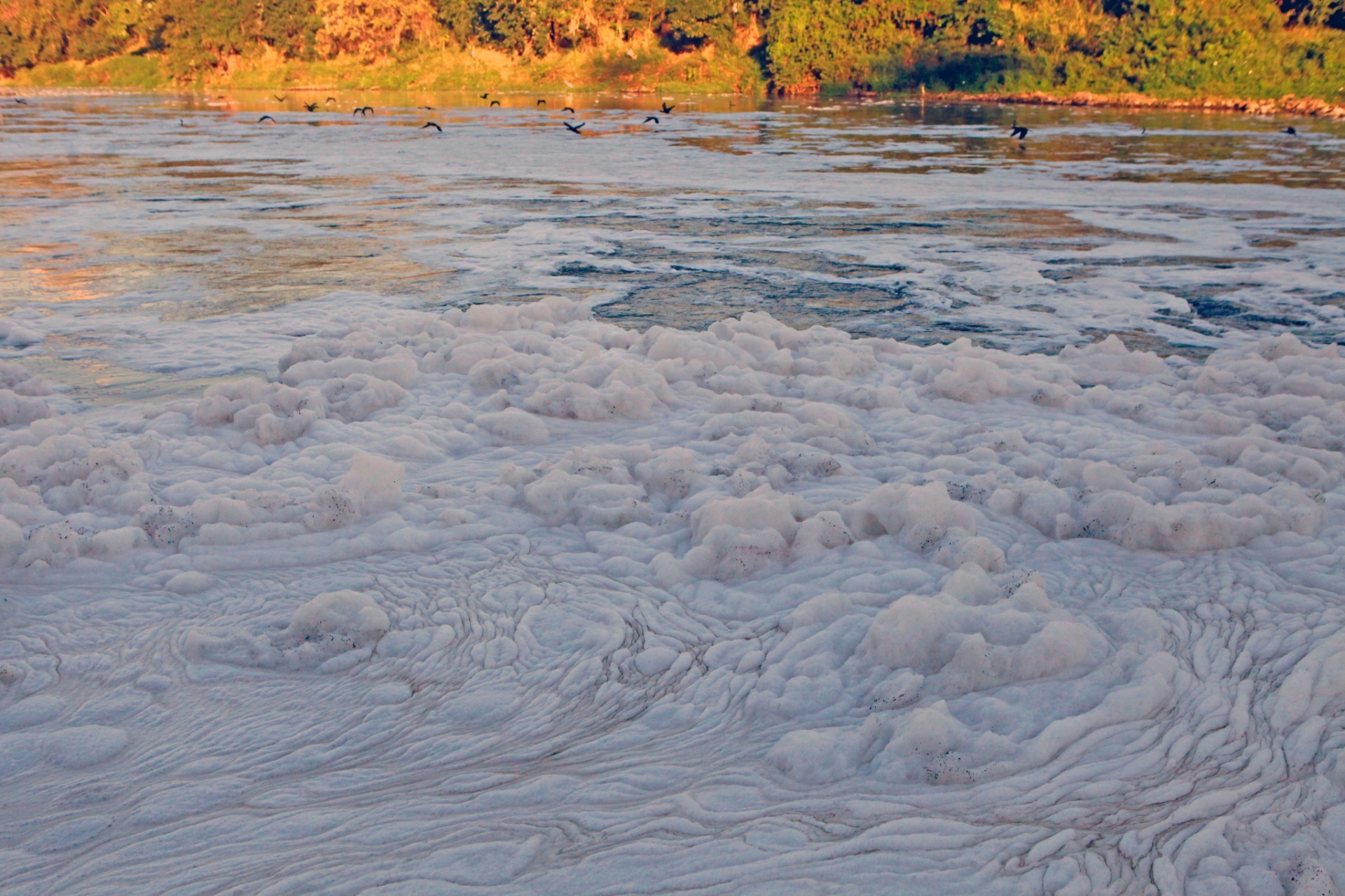 Rio Piracicaba tem poluição cinco vezes maior que a aceitável - 19/08 ...
