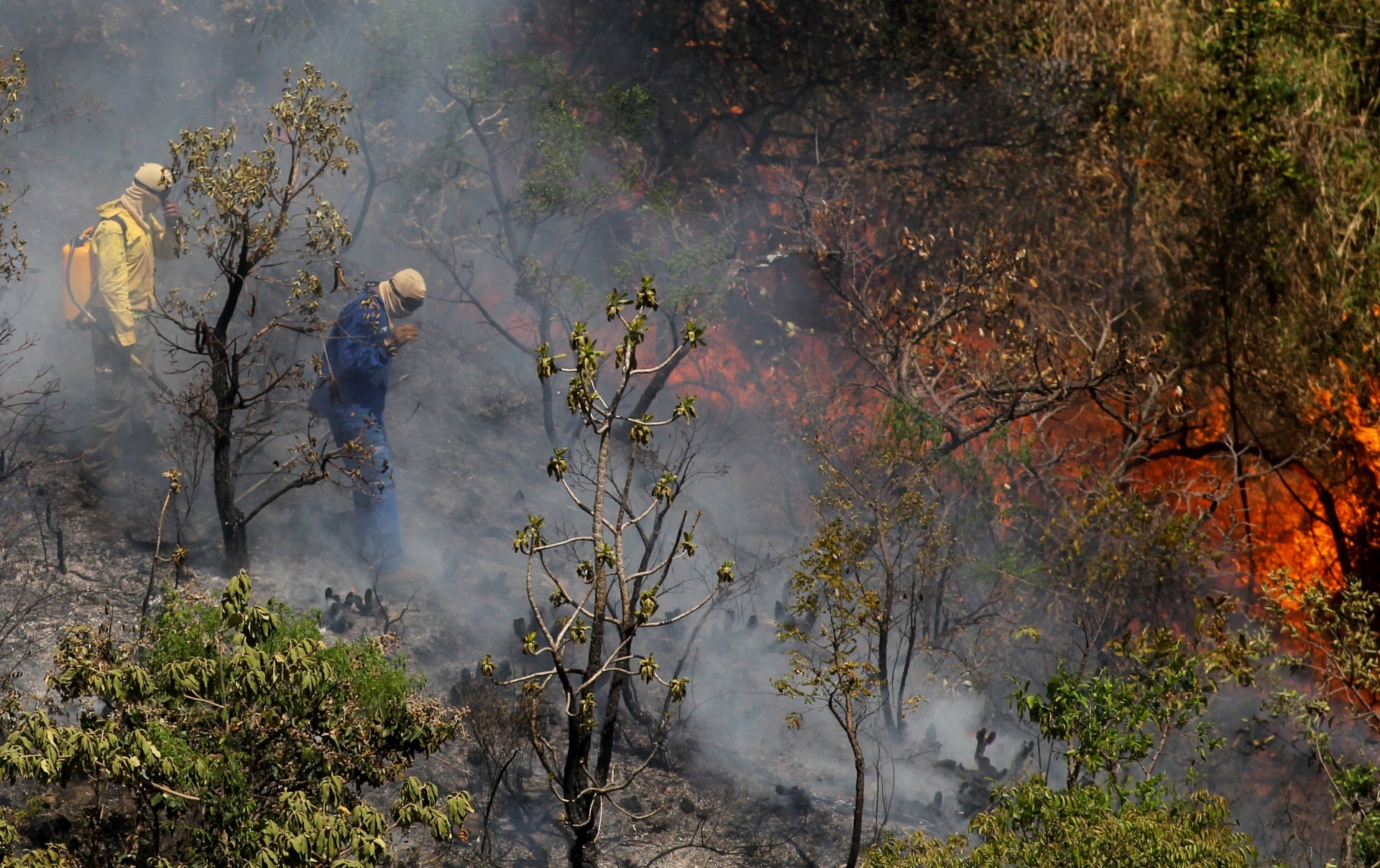 Fotos: Queimadas destroem matas e reservas pelo Brasil - 15/10/2014 ...