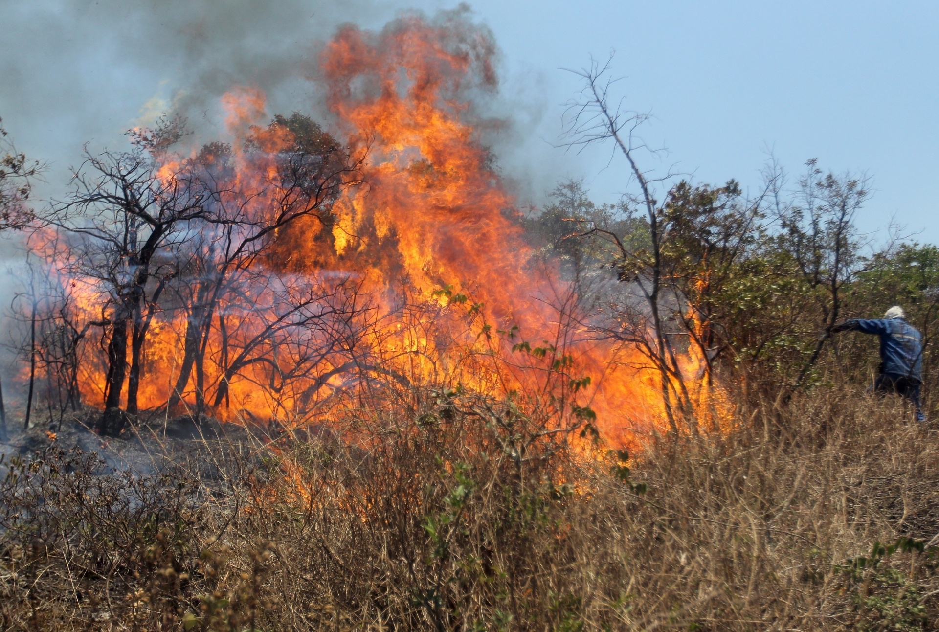 Fotos: Queimadas destroem matas e reservas pelo Brasil - 15/10/2014 ...