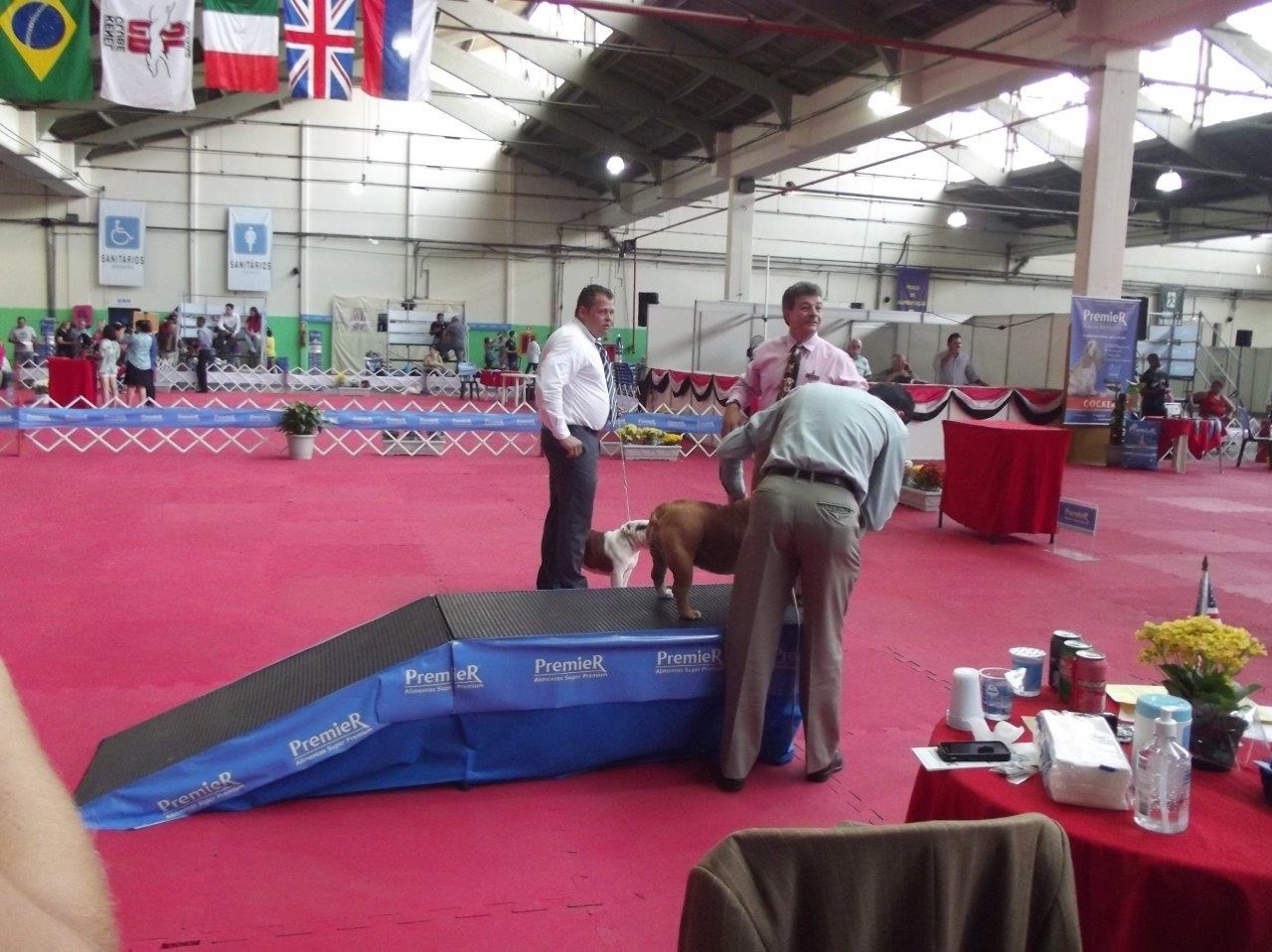 Fotos: Cães disputam prêmios durante São Paulo Dog Show - 18/10/2014 ...