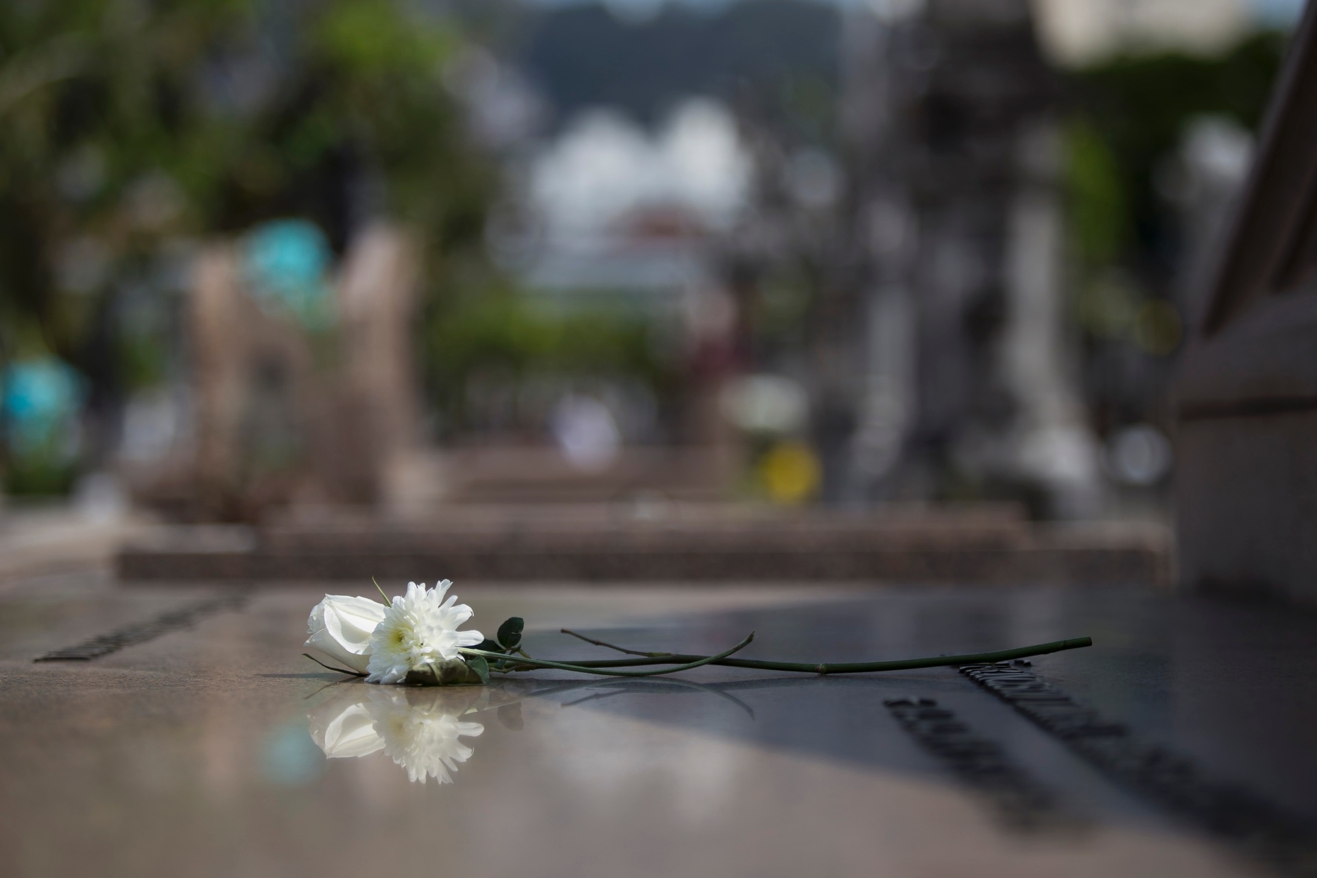 Fotos: Dia de Finados no Brasil e no mundo - 01/11/2014 - UOL Notícias