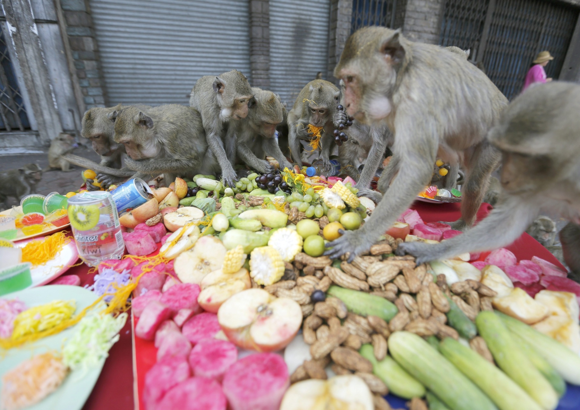 Fotos: Imagens do dia - 30 de novembro de 2014 - 30/11/2014 - UOL Notícias