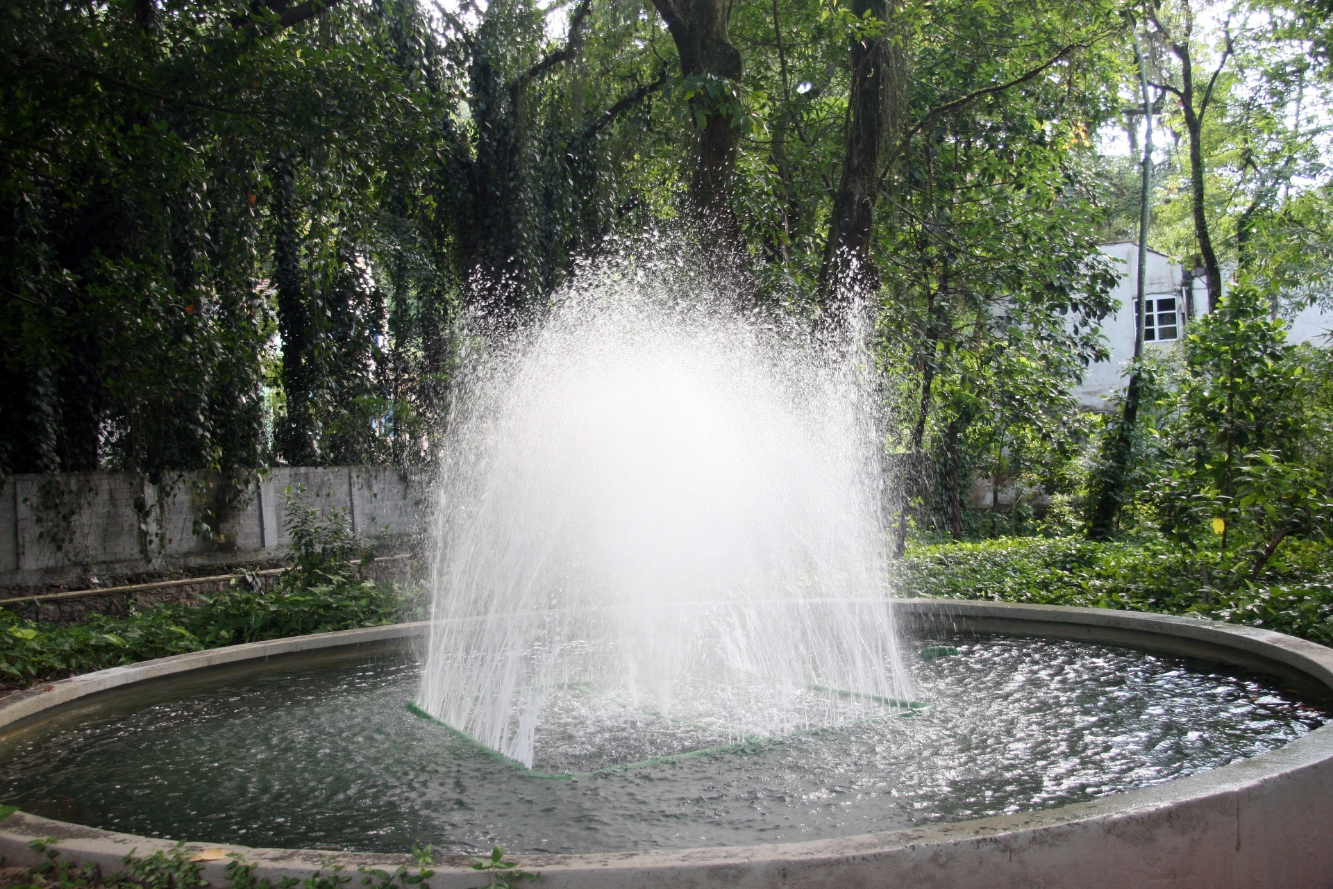 Fonte De água Potável - LIBRAIN