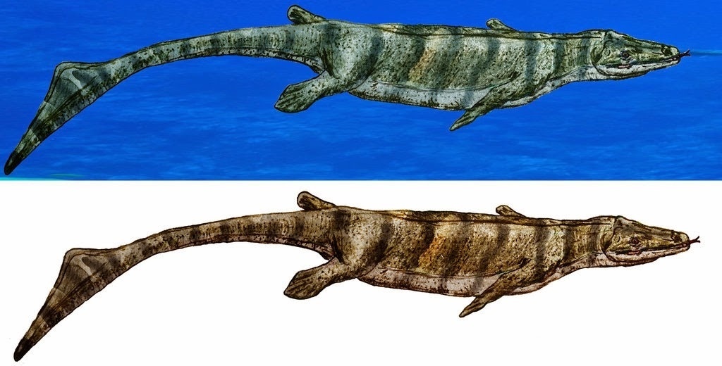 Fotos: Veja imagens de Ciência do mês (fevereiro/2015) - 03/02/2015 ...