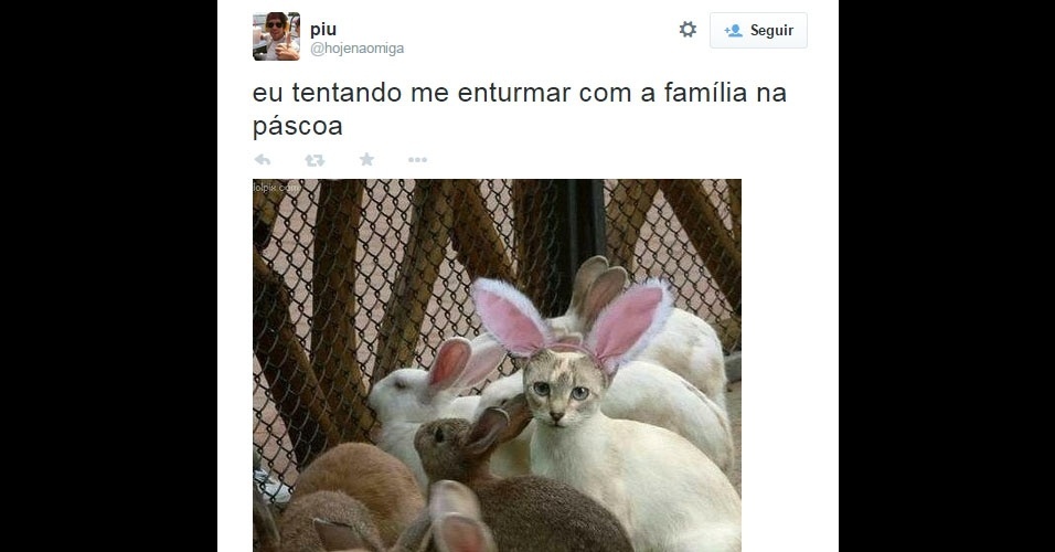 Fotos: Nas redes sociais, coelho comemora Páscoa com memes; veja - 03 ...