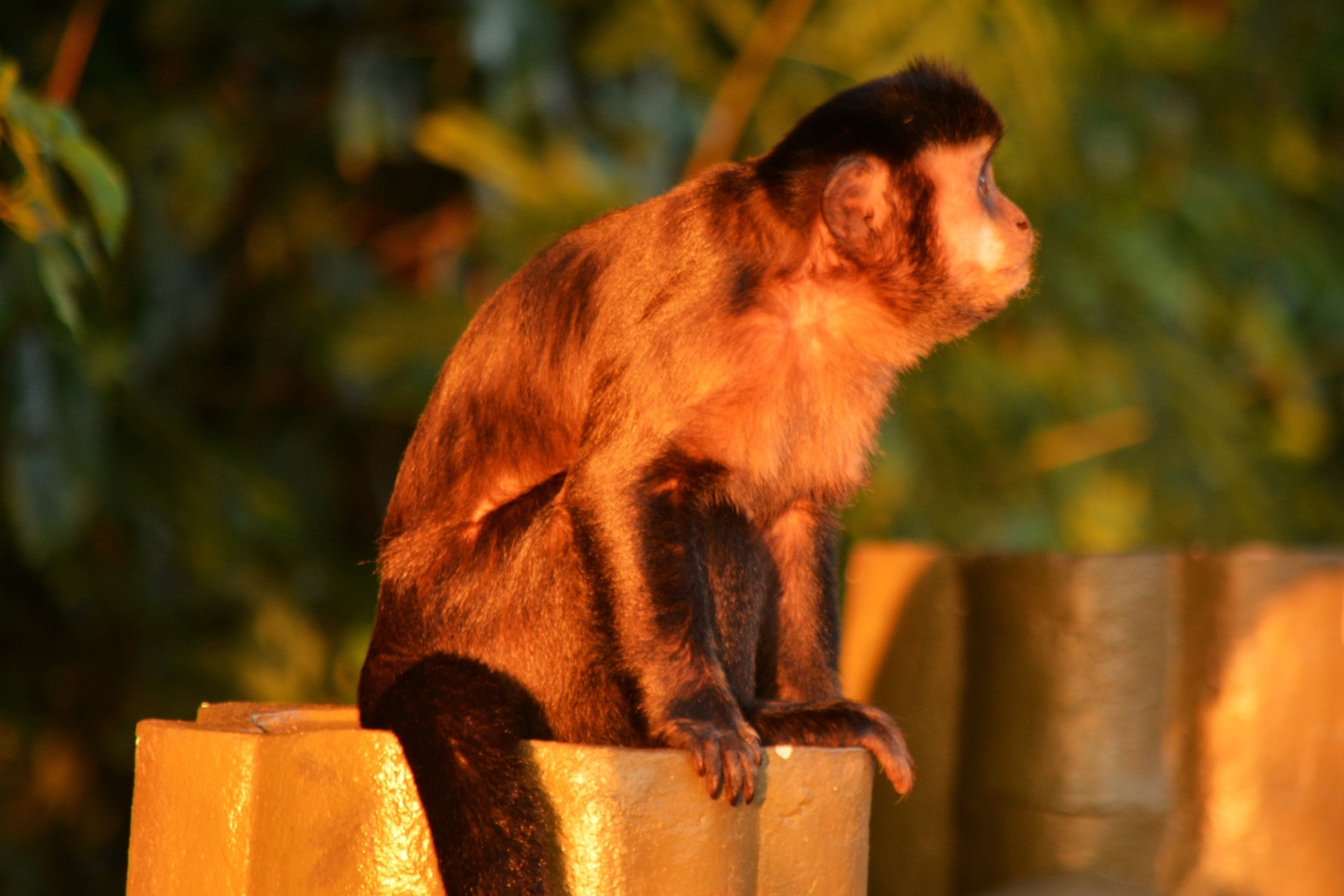 Fotos: Imagens do dia - 13 de abril de 2015 - 13/04/2015 - UOL Notícias