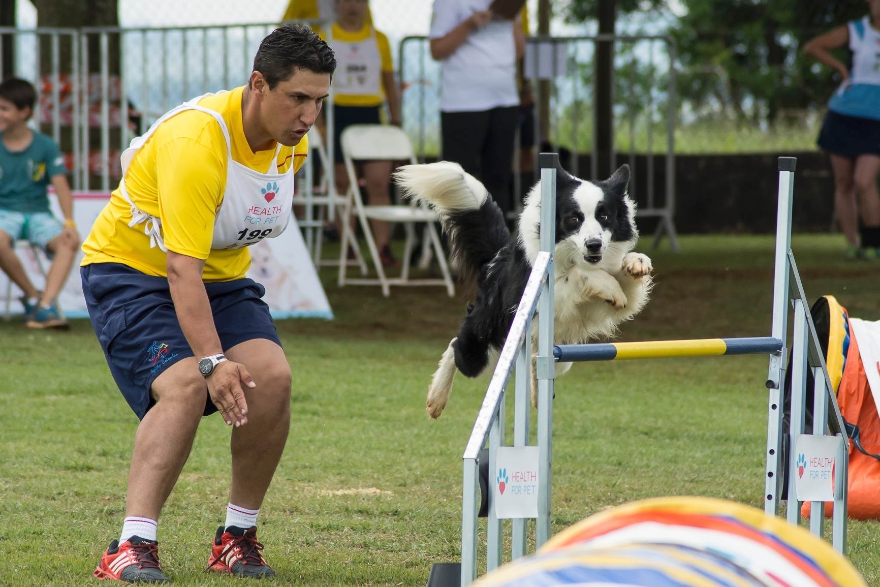 Fotos: Cães atletas de 12 países disputam campeonato em SP - 18/04/2015 ...