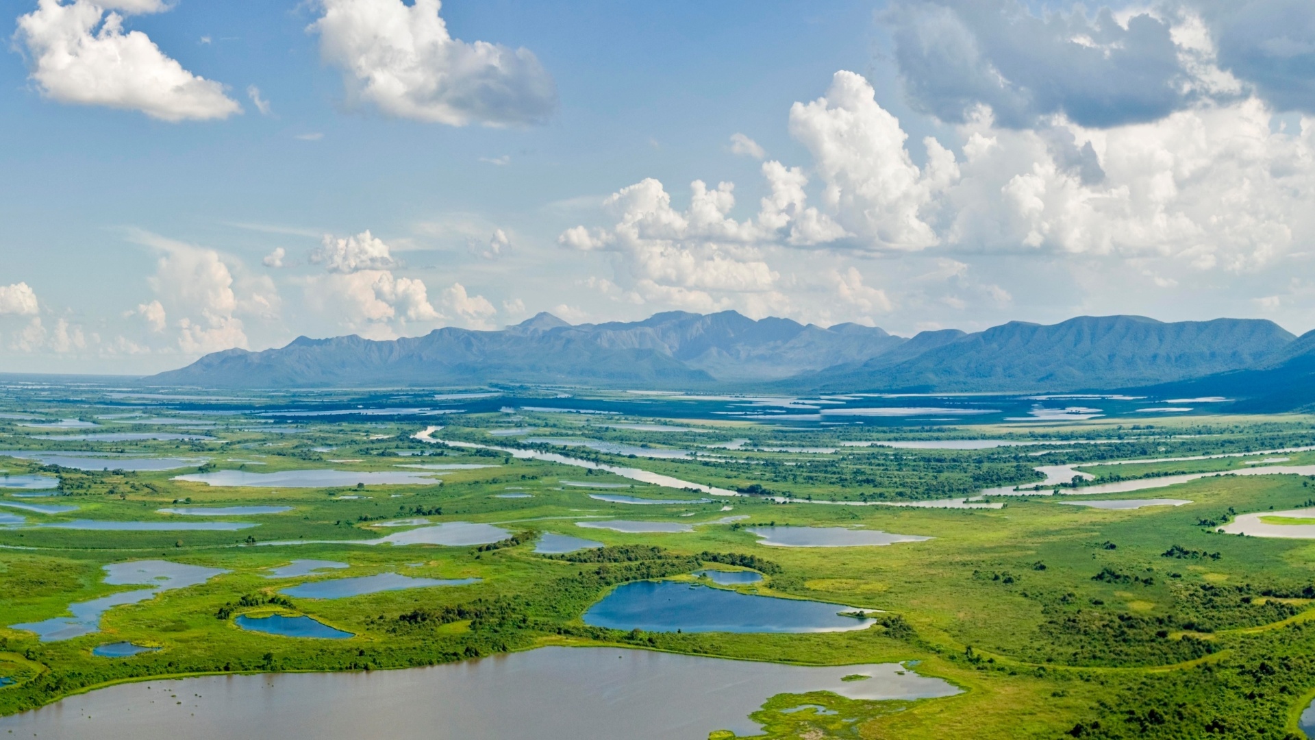Fotos: Exposição mostra a relação do pantaneiro com a natureza - 17/05 ...