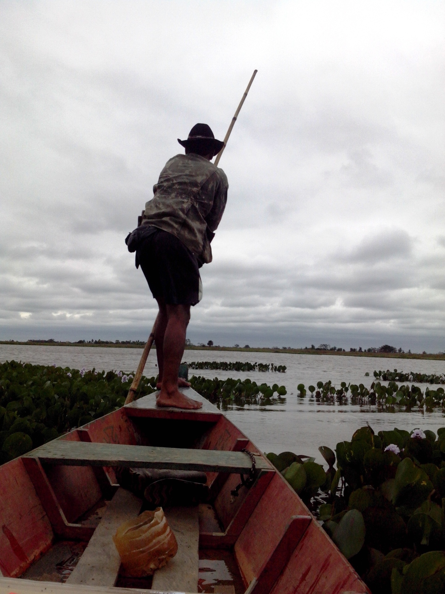 Fotos: Exposição mostra a relação do pantaneiro com a natureza - 17/05 ...