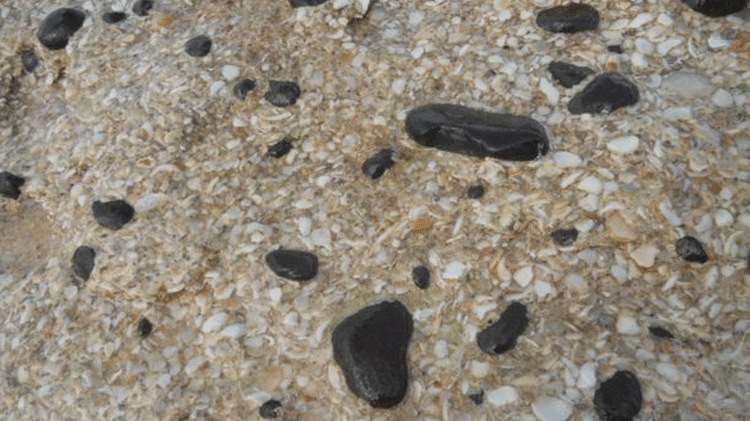 O que são as rochas de Darwin, que opõem ambientalistas e projeto de ...