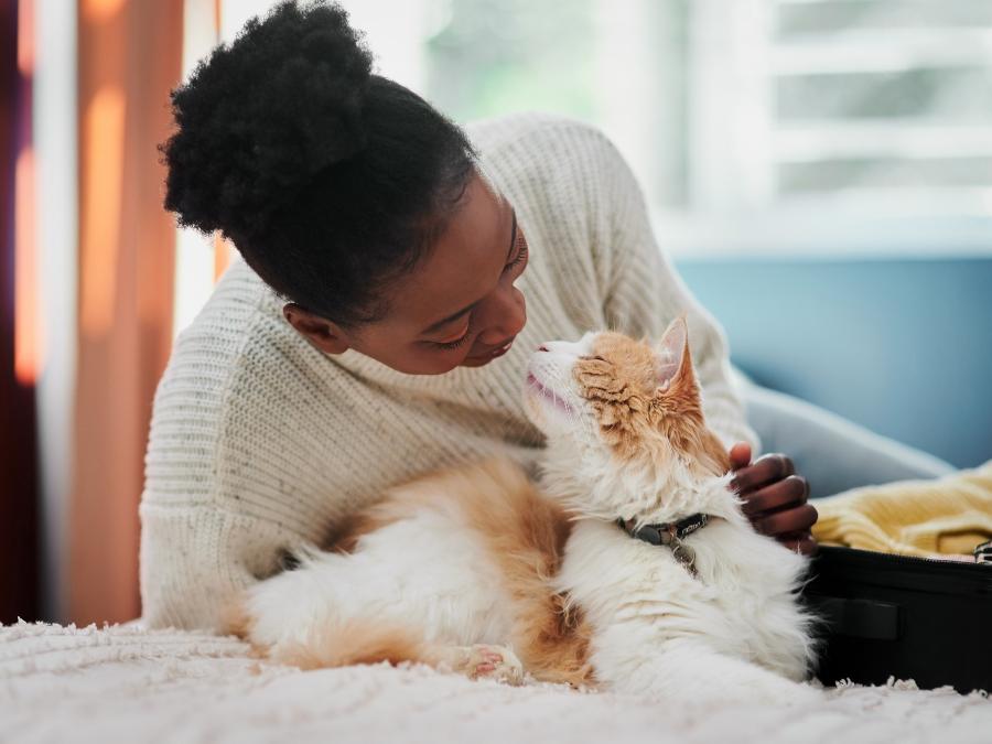 Por que os gatos ronronam? Entenda o significado e quais os benefícios ...
