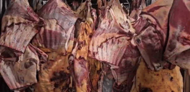 O que acontece com o corpo quando consumimos carne podre?